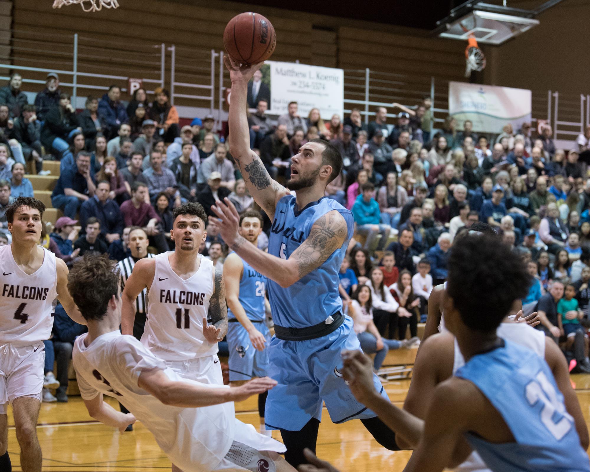 KJ Bosco - Men's Basketball - Western Washington University Athletics
