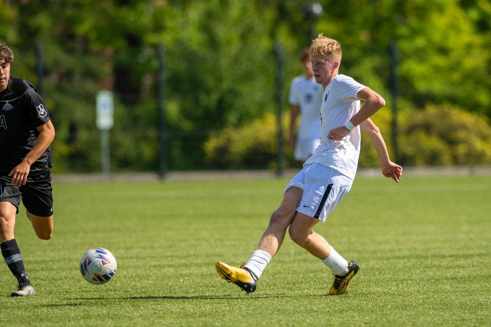 Kaydin Wall - Men's Soccer - Western Washington University Athletics