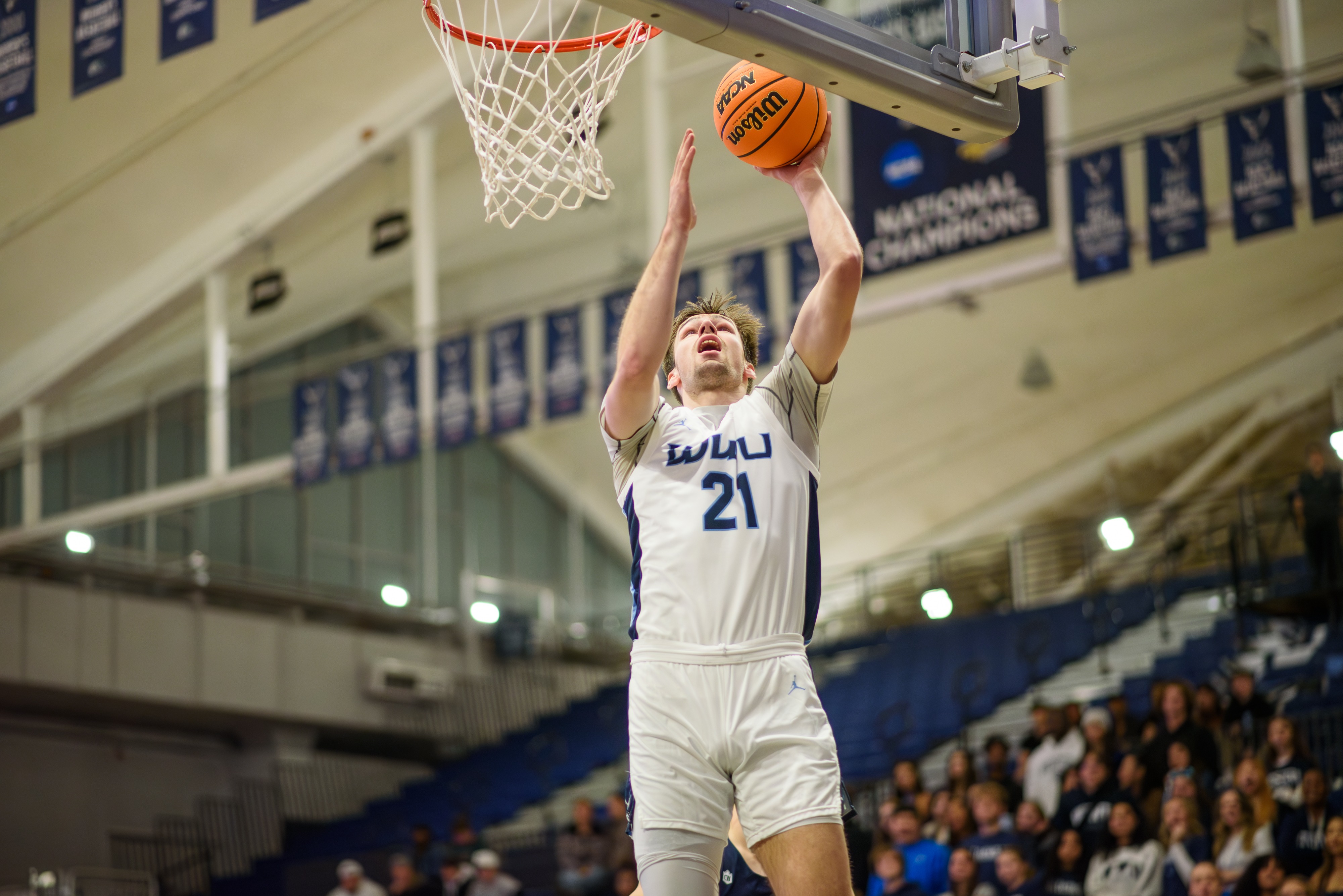 Liam Clark - Men's Basketball - Western Washington University Athletics