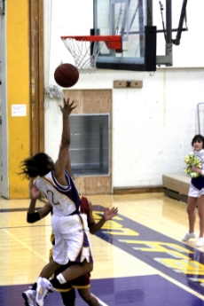 Desiree Butler - 2008-09 - Women's Basketball - sfstategators.com