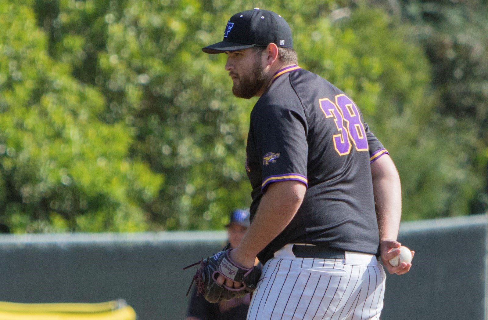 Brett Elgin - 2018 - Baseball - sfstategators.com