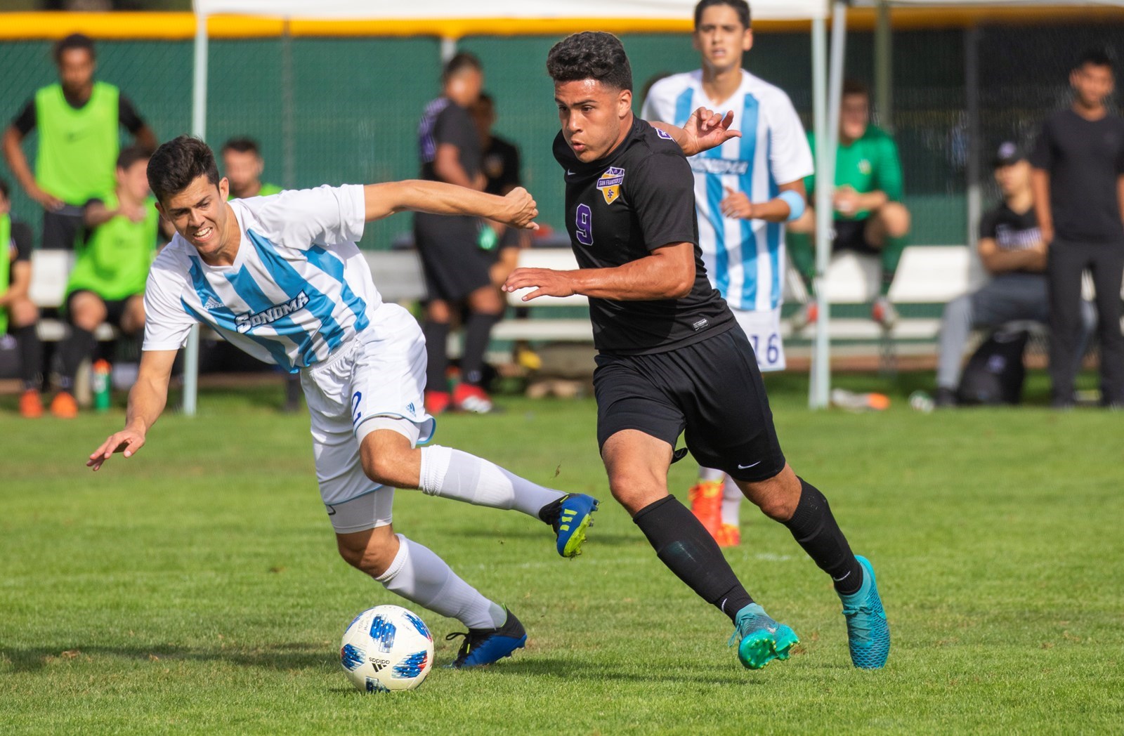 Feliciano Cardenas - 2019 - Men's Soccer - sfstategators.com