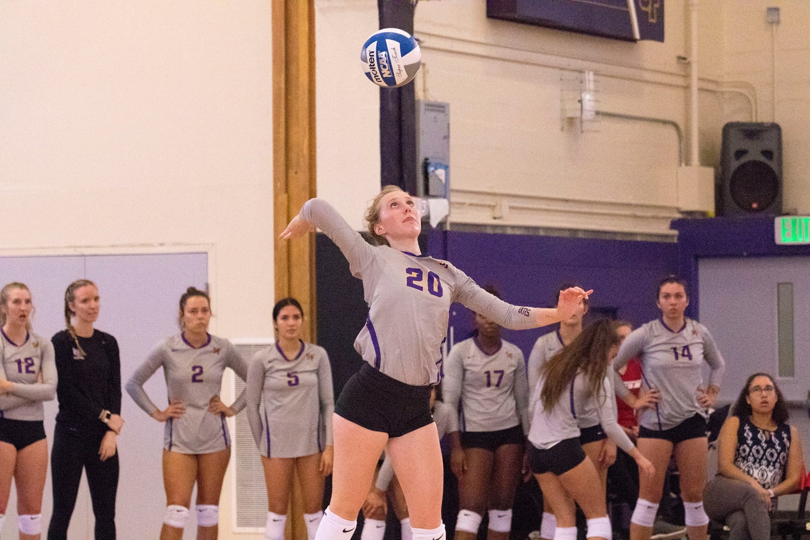 Payton Jensen - 2021 - Women's Volleyball - sfstategators.com