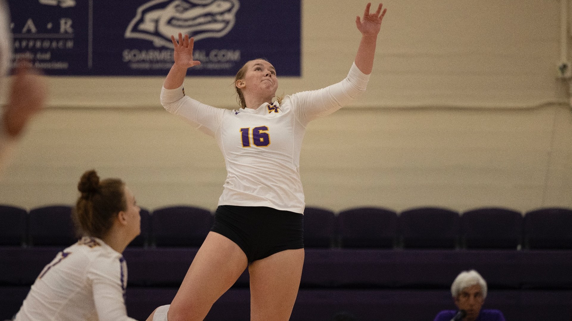 Josie Collier - 2023 - Women's Volleyball - sfstategators.com