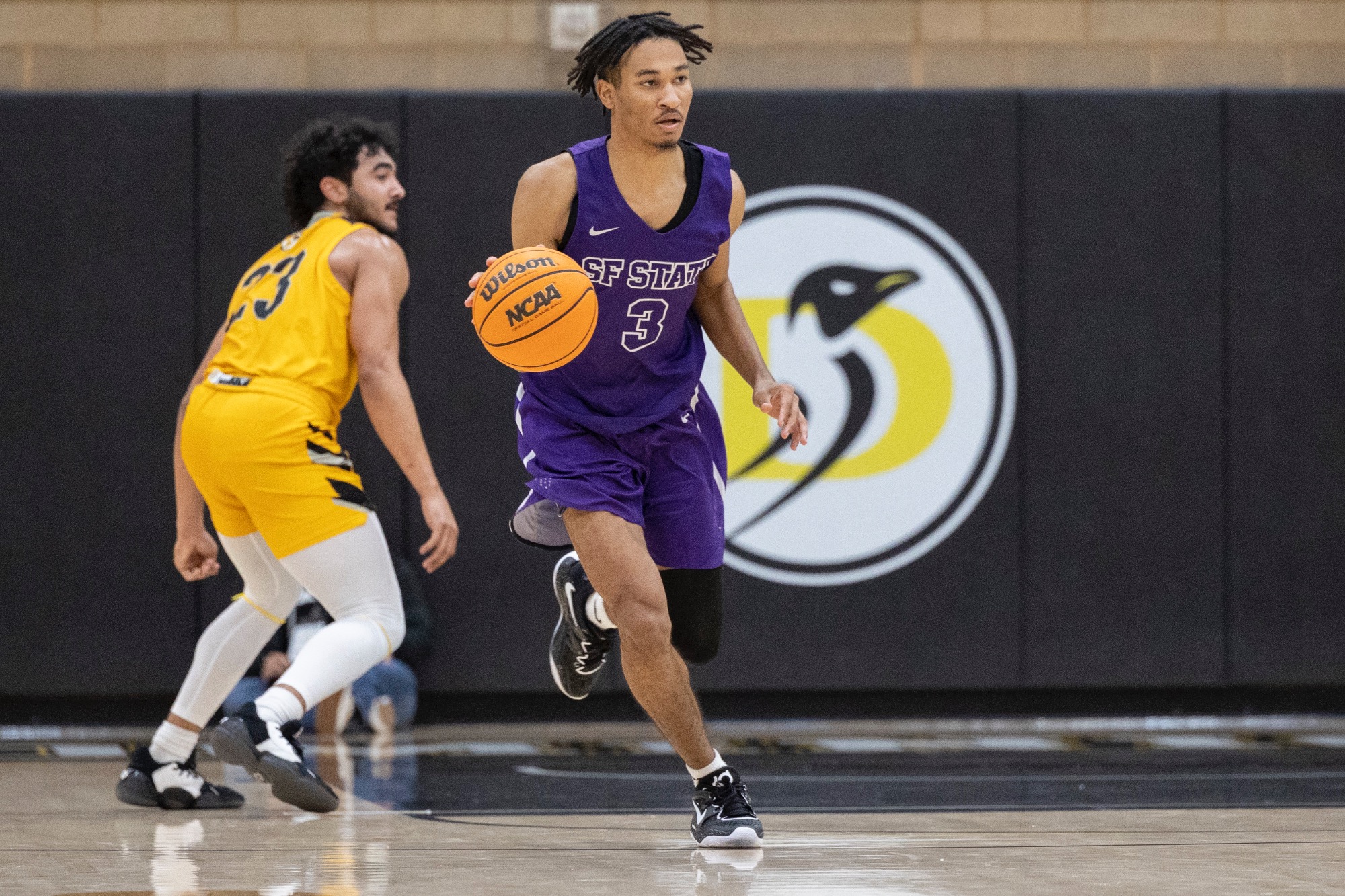 MBB | Gators Top Regis In Home Opener - sfstategators.com