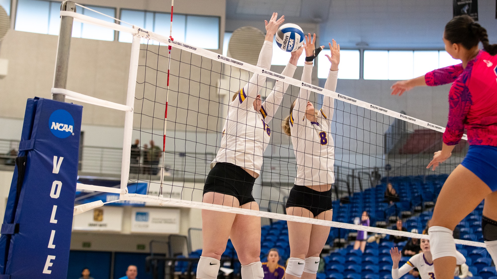 Josie Collier - 2023 - Women's Volleyball - sfstategators.com