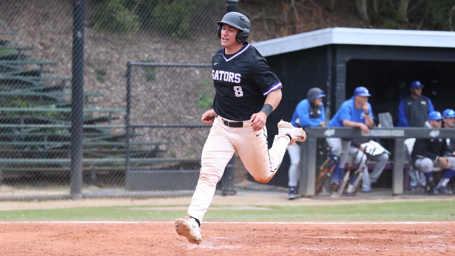 Michael Cunningham - 2024 - Baseball - sfstategators.com