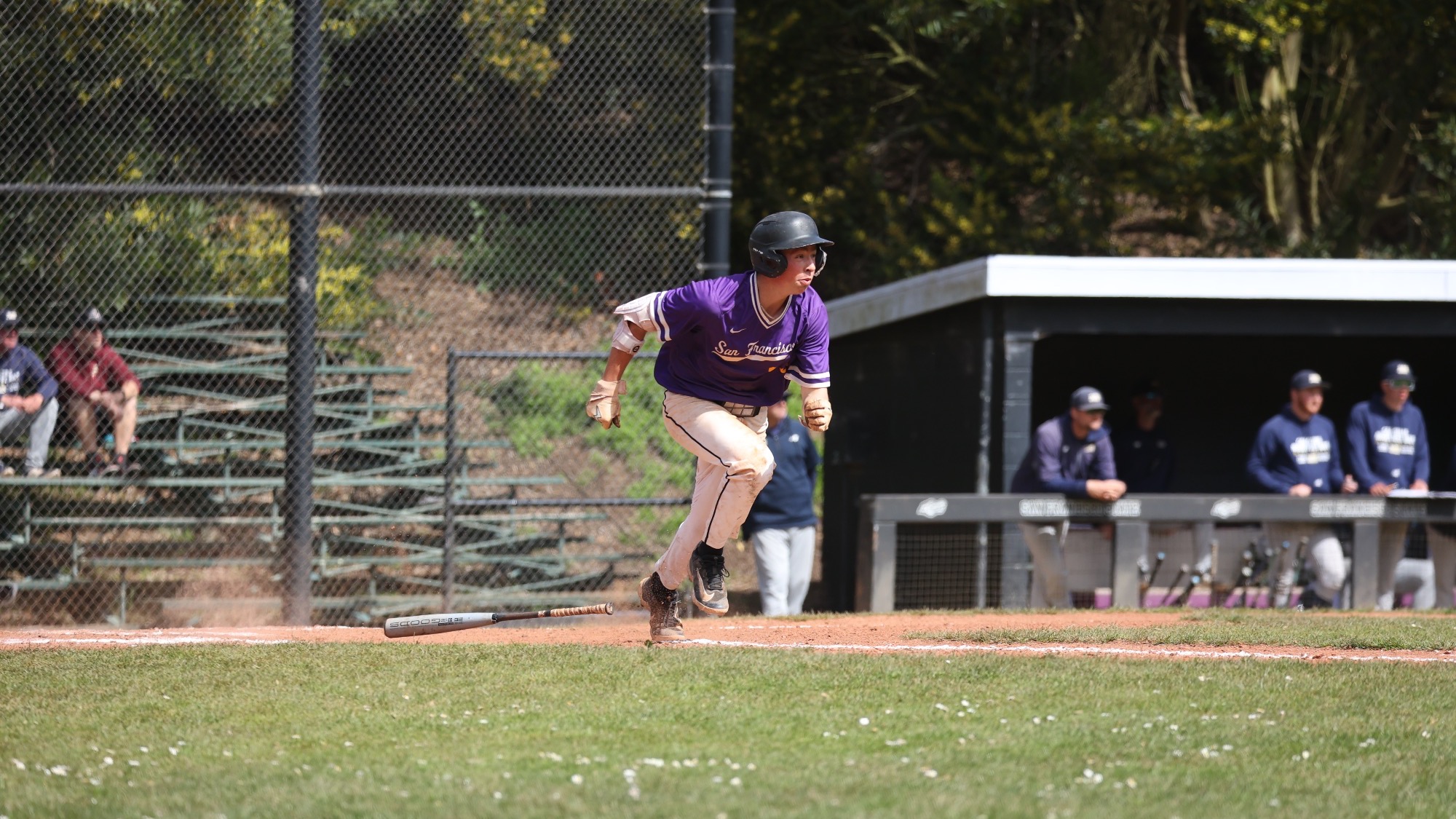 Jacob French - 2024 - Baseball - sfstategators.com