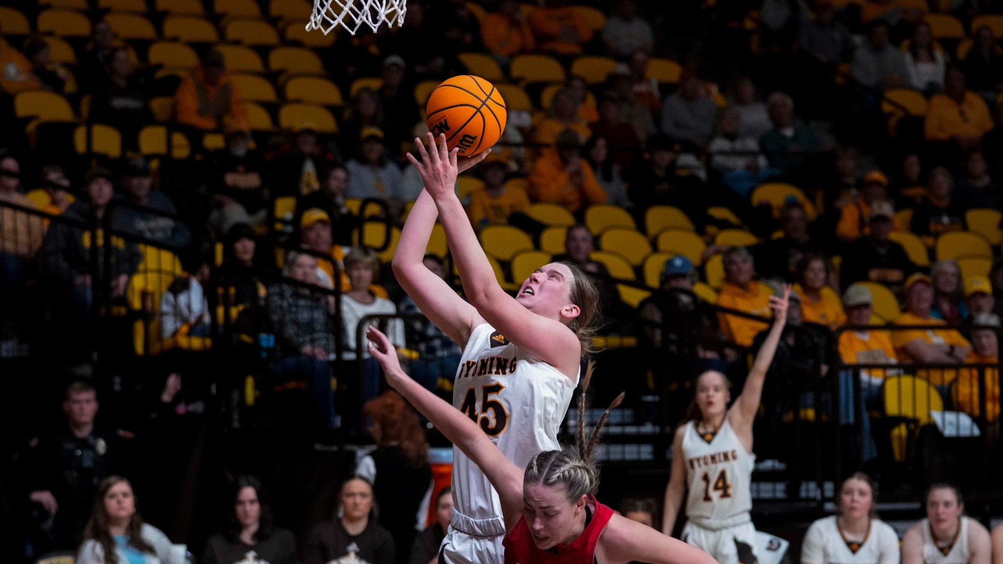 Allyson Fertig - Women's Basketball - University of Wyoming Athletics