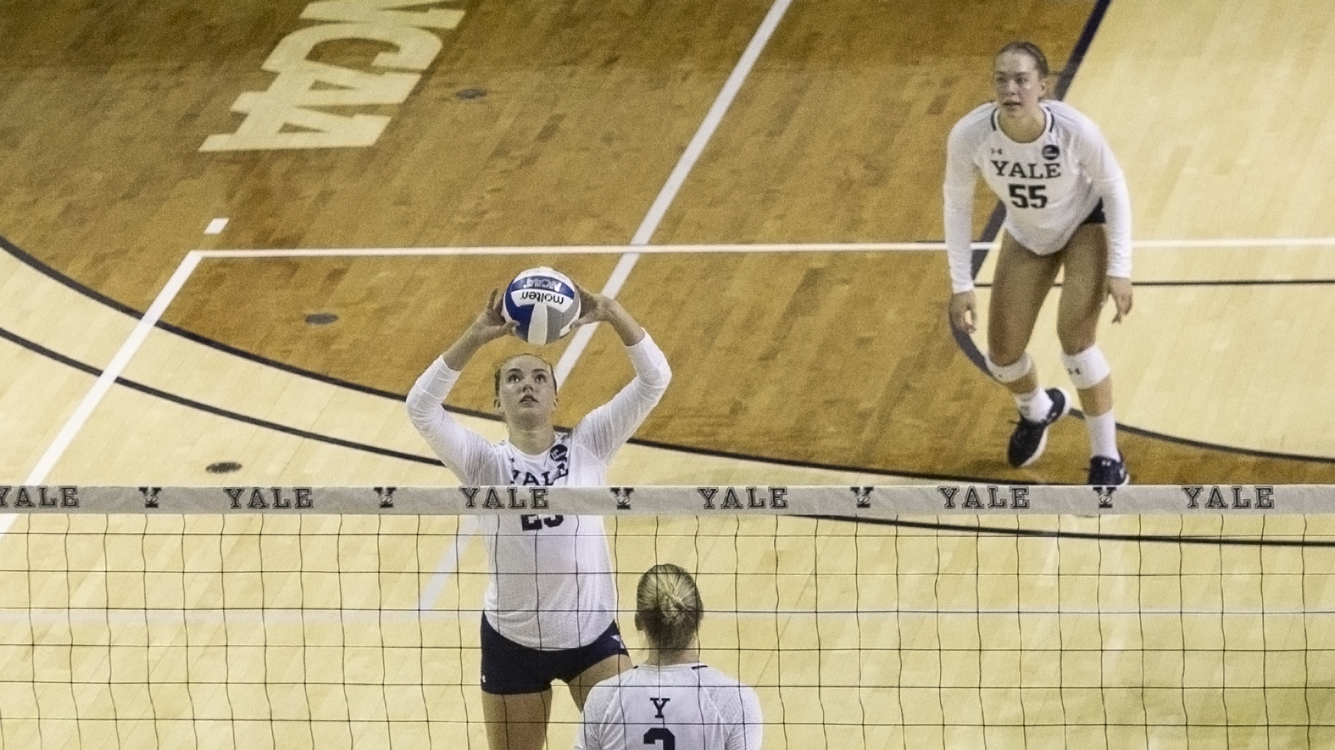 Frances Arnautou - 2019 - Women's Volleyball - Yale University