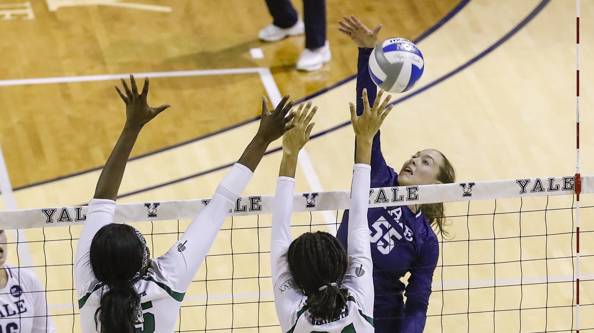 Ellis DeJardin - 2021-22 - Women's Volleyball - Yale University