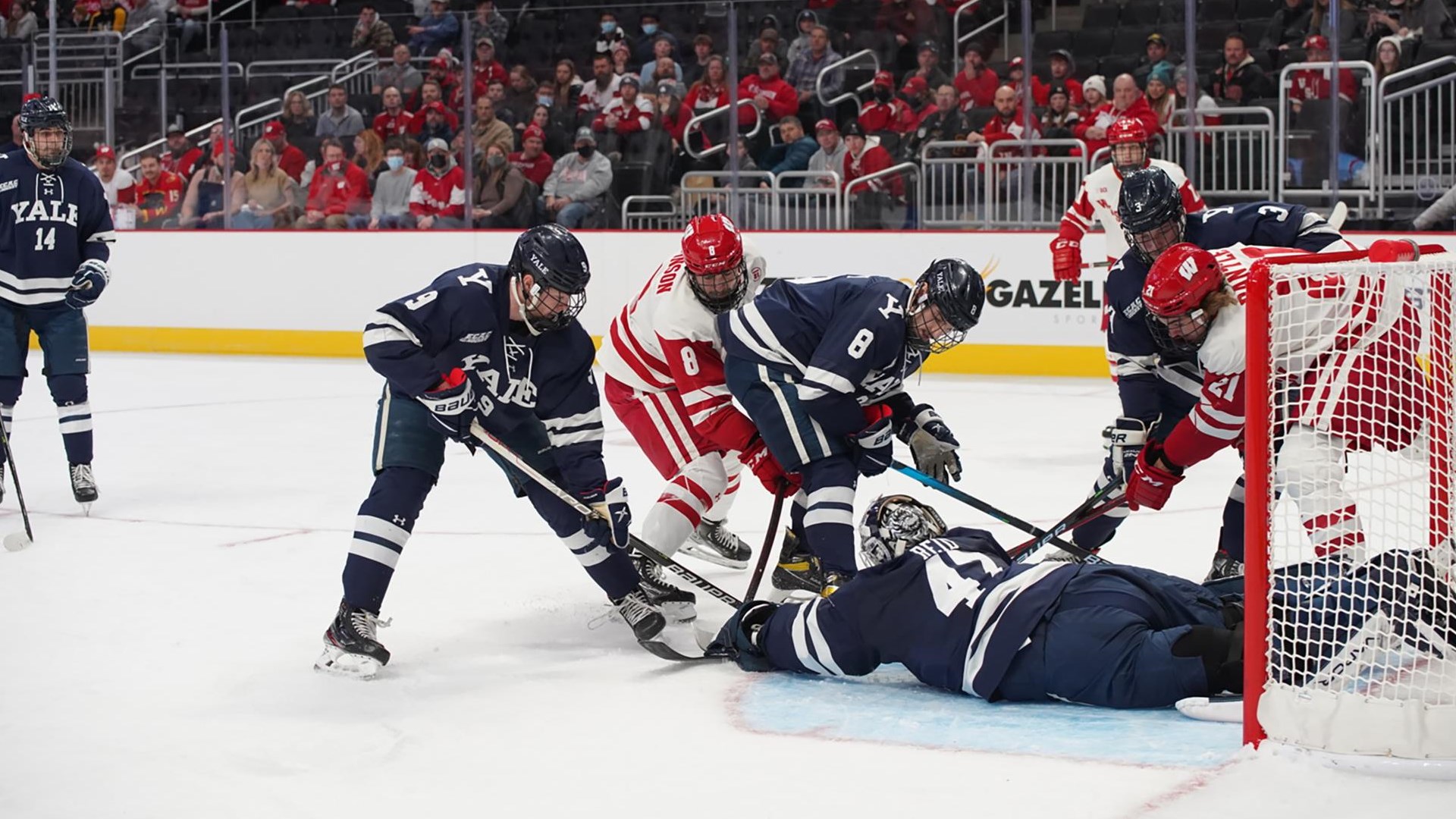 Nathan Reid - 2023-24 - Men's Ice Hockey - Yale University