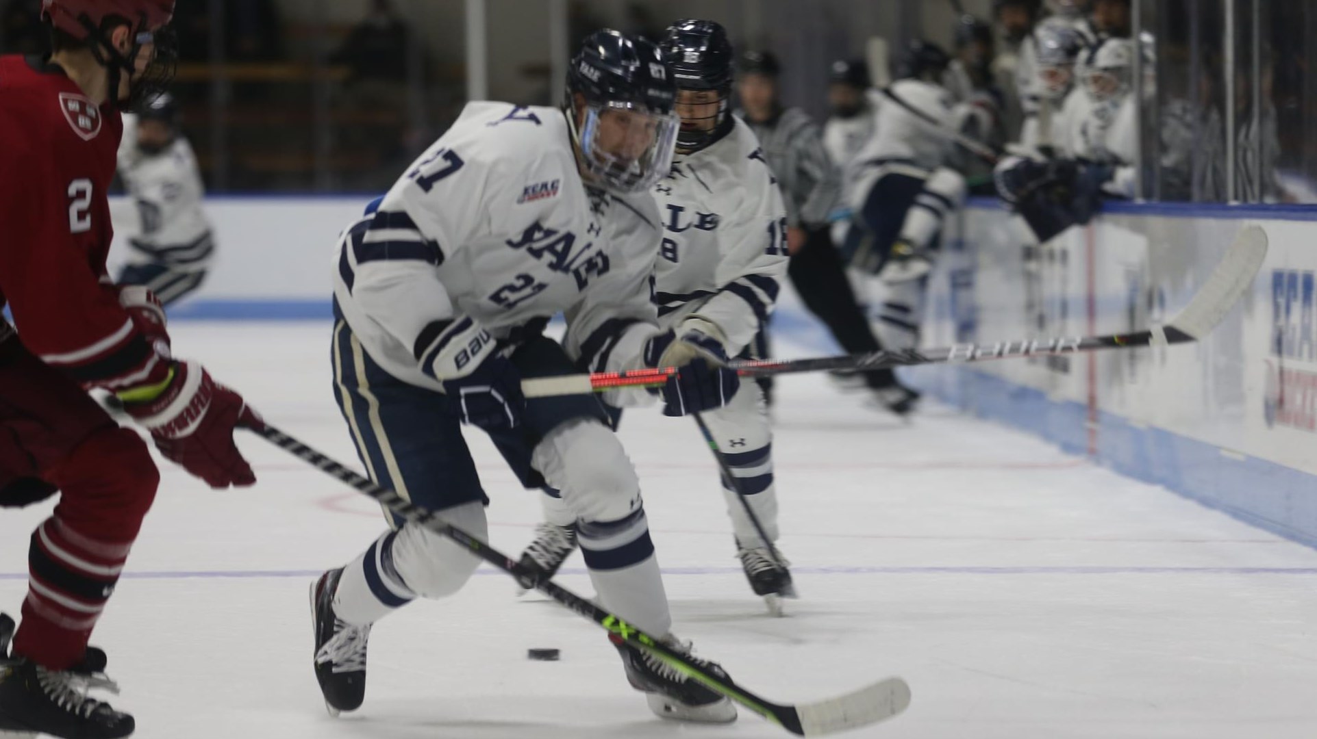 Ian Carpentier - 2023-24 - Men's Ice Hockey - Yale University