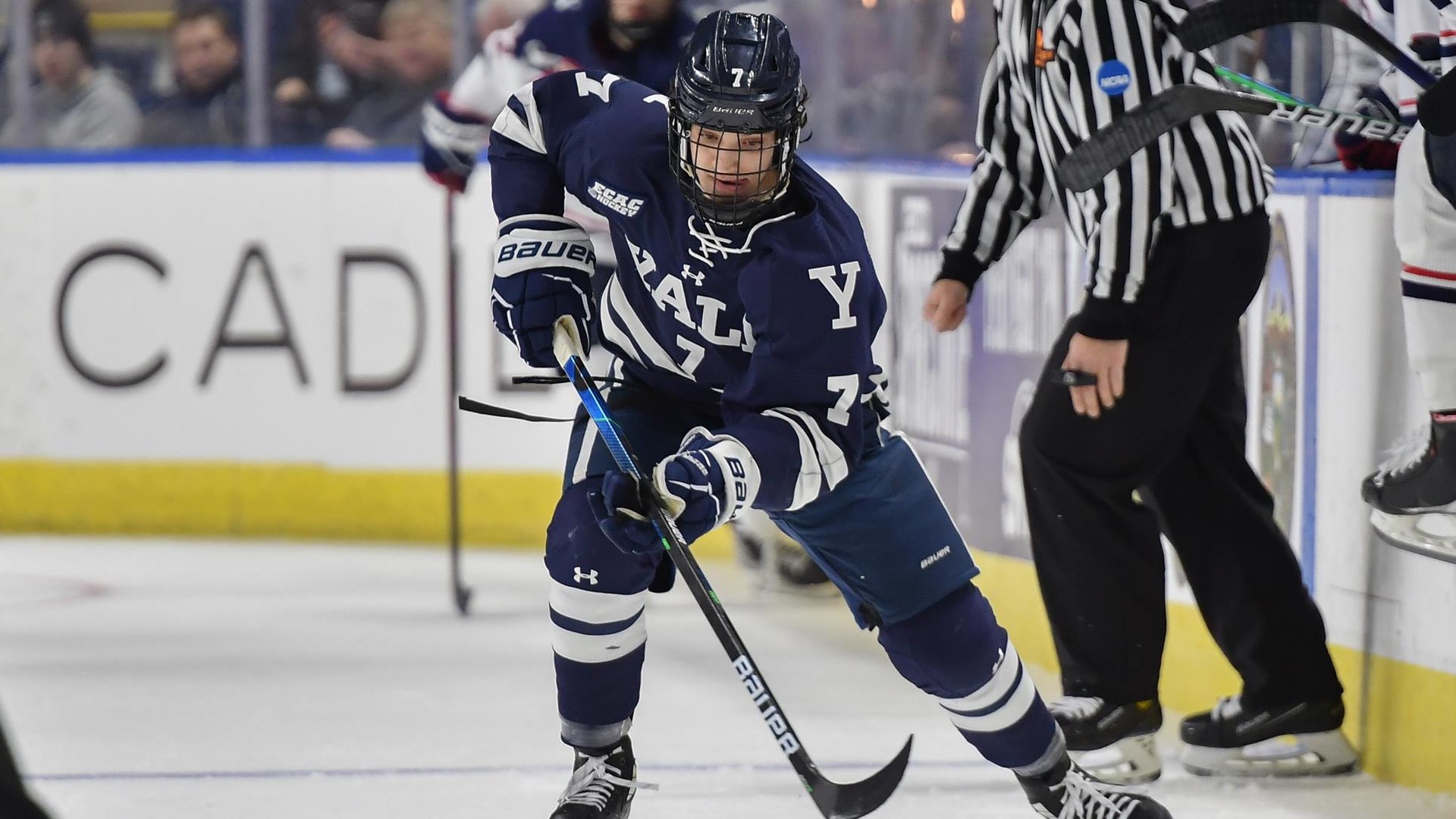 Brandon Tabakin - 2022-23 - Men's Ice Hockey - Yale University