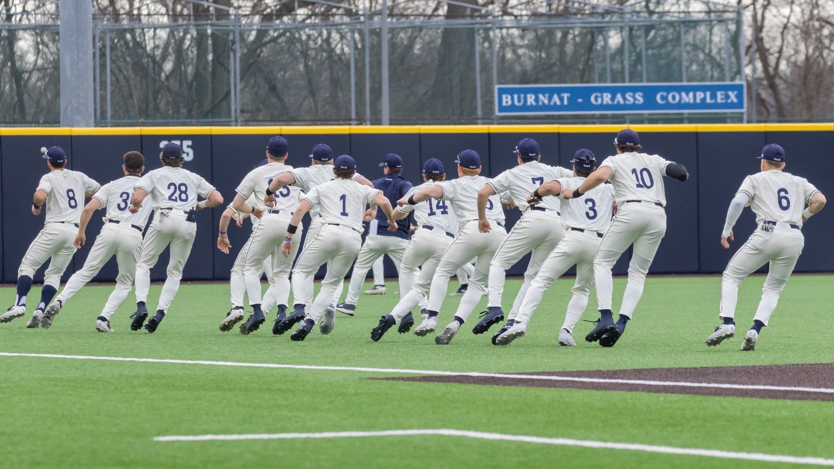 Trevor Wren Joins Yale Baseball Staff - Yale University