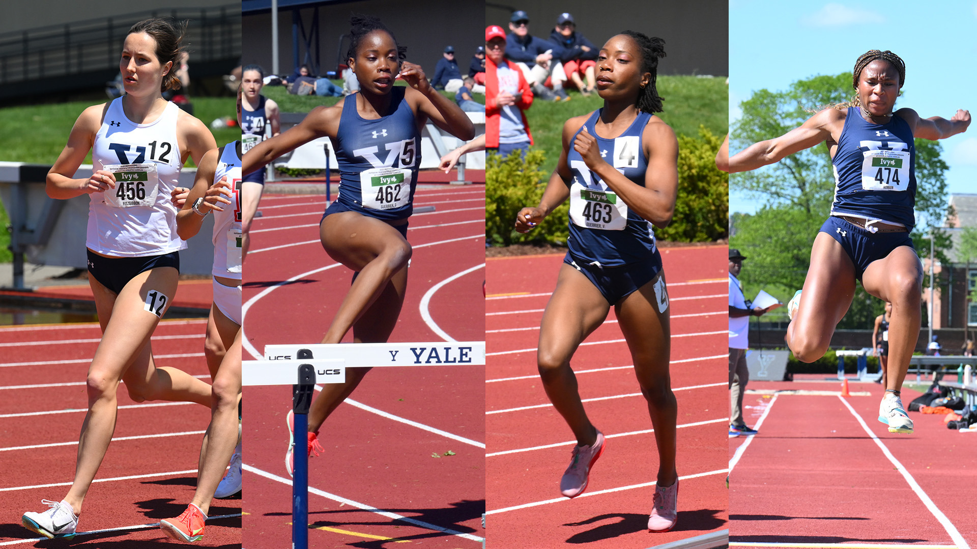 Three Bulldogs Qualify for NCAA First Round - Yale University