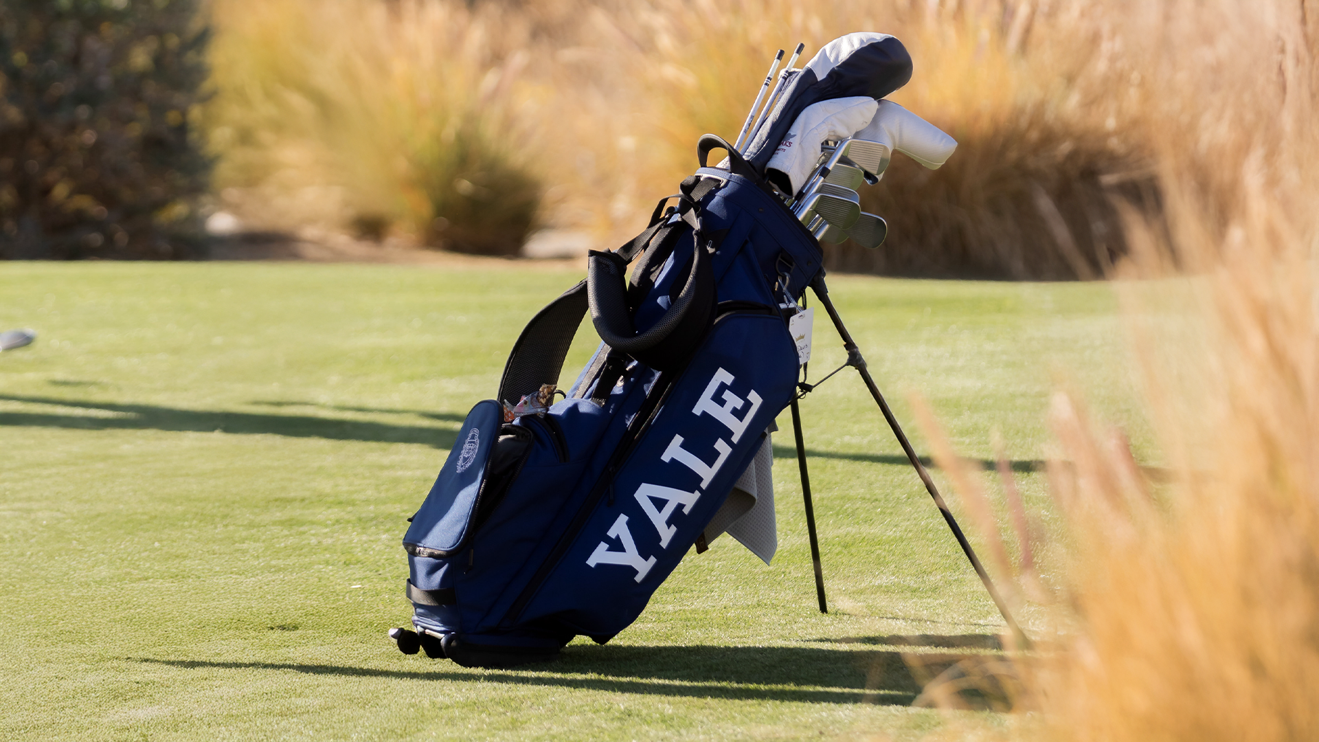 Men’s Golf Welcomes Class of 2029 - Yale University