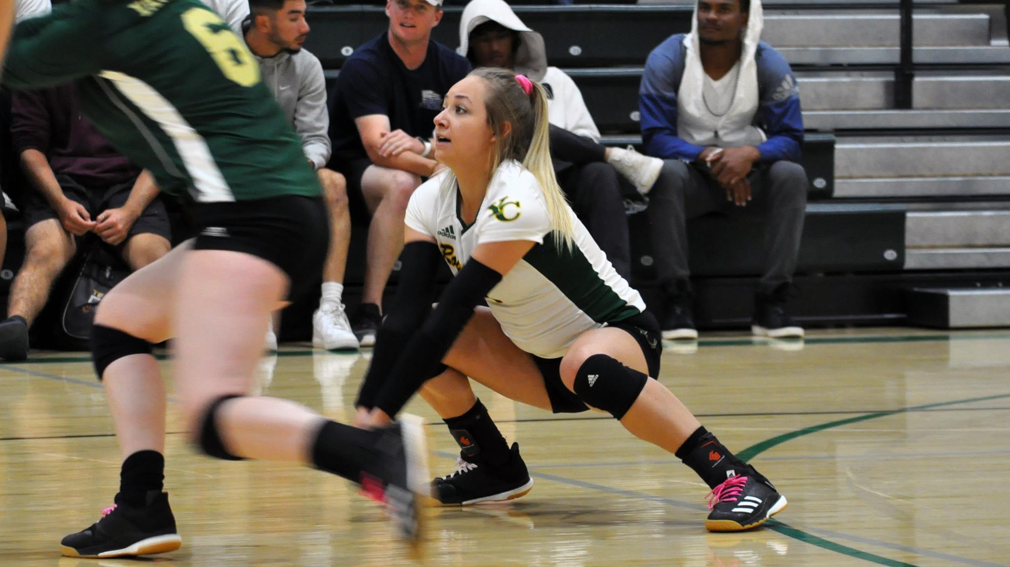 Emily Coe - Volleyball - Yavapai College