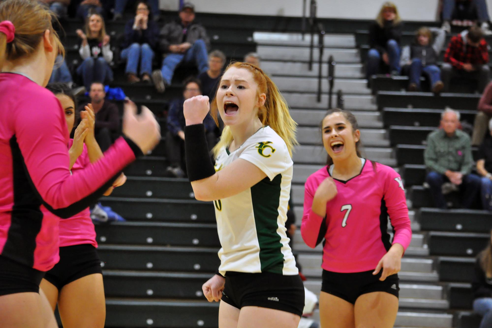 Heather Wanninger - Volleyball - Yavapai College