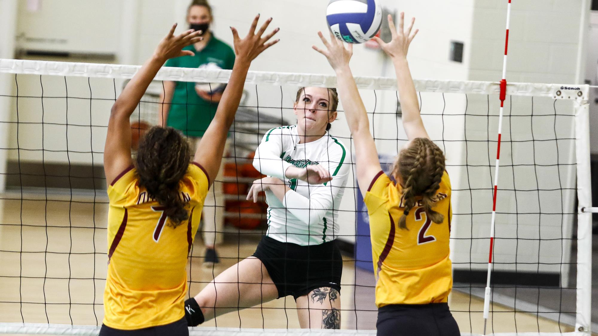 Claire Shorb - 2022 - Women's Volleyball - York College of Pennsylvania