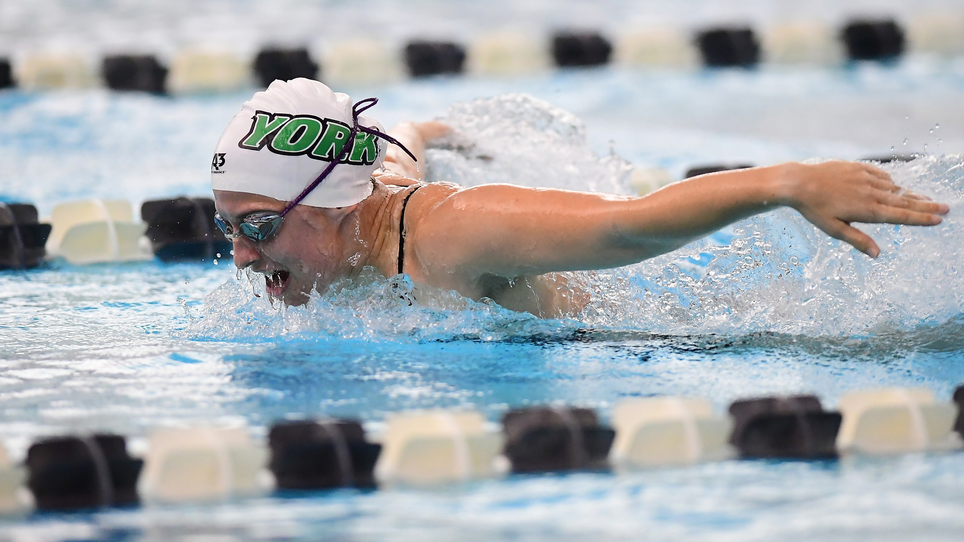Women's Swimming Takes on F&M and Mary Washington Friday - York College ...