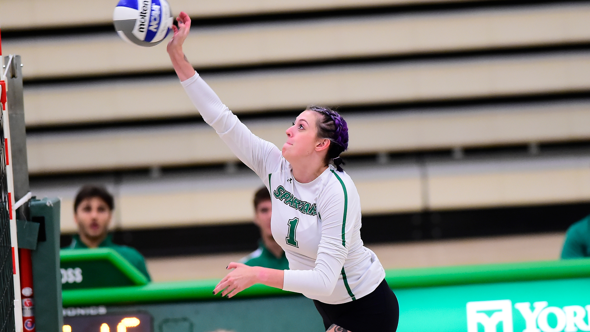 Claire Shorb - 2022 - Women's Volleyball - York College of Pennsylvania