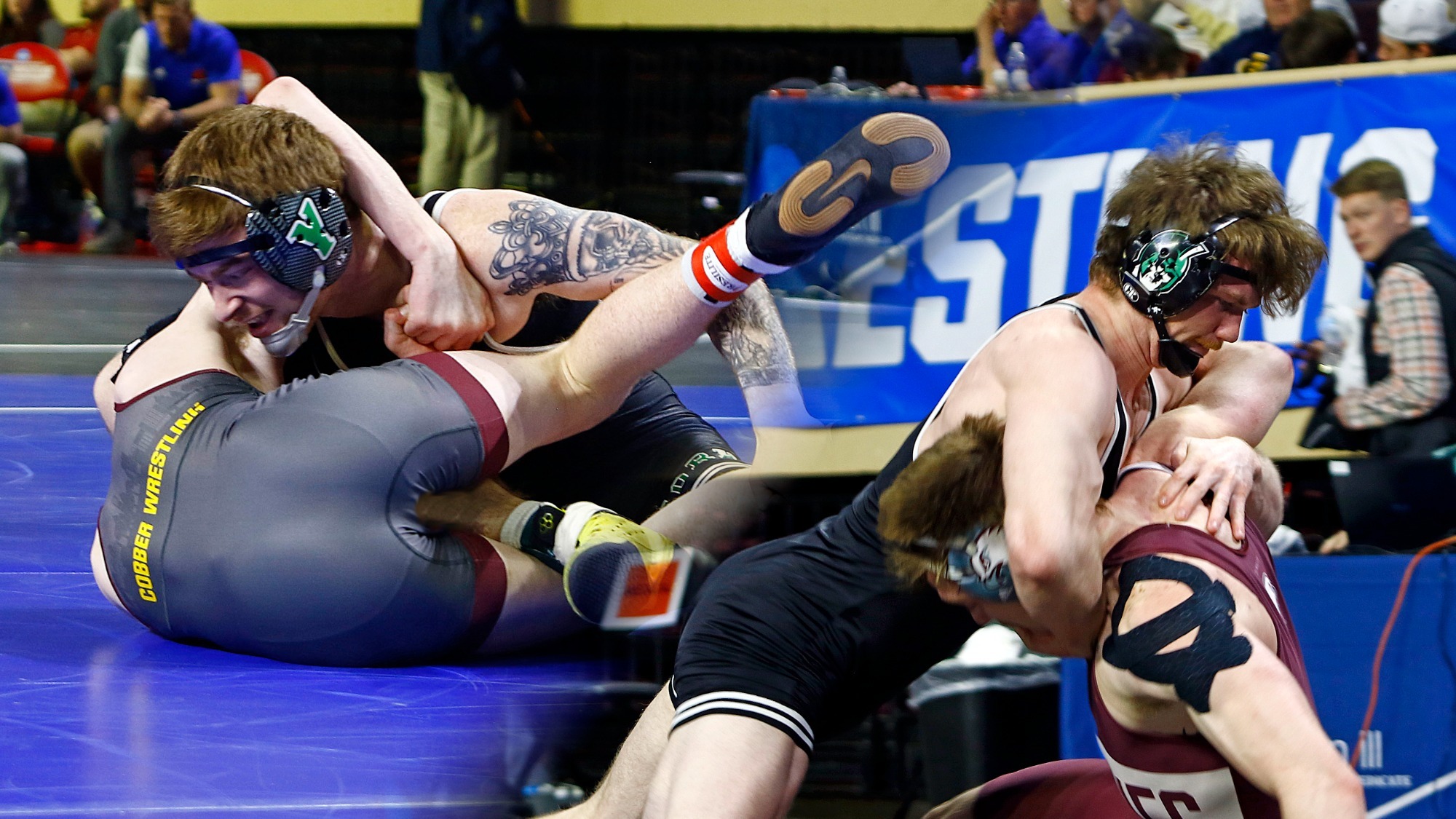 Rohrbaugh Repeats as All-American, Farrow Falls in Blood Round on Day ...