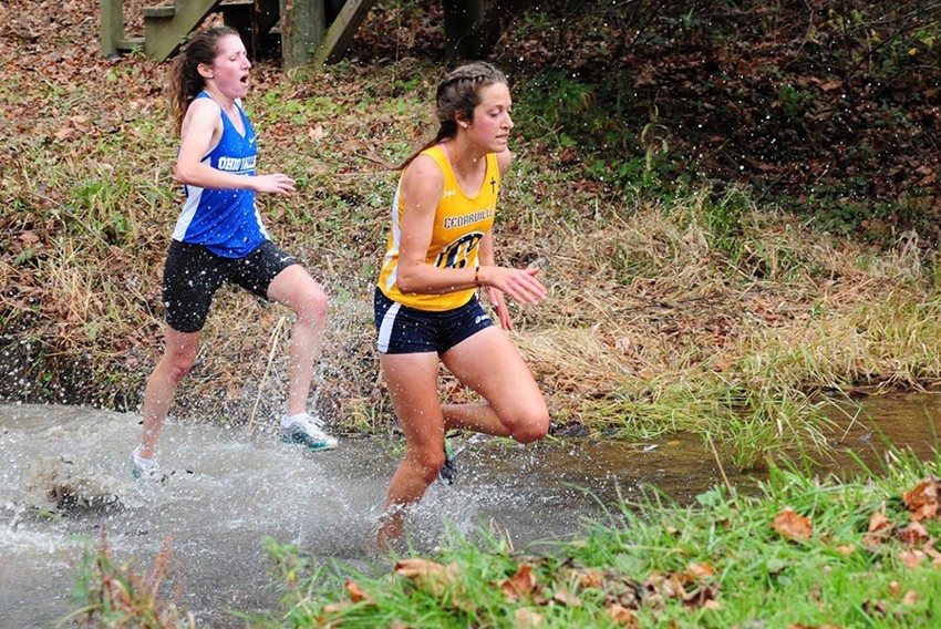 Rachel Groh - Women's Cross Country - Cedarville University Athletics