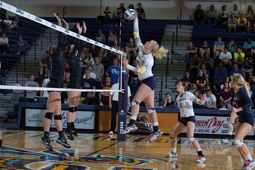Faith Ferris - Women's Volleyball - Cedarville University Athletics