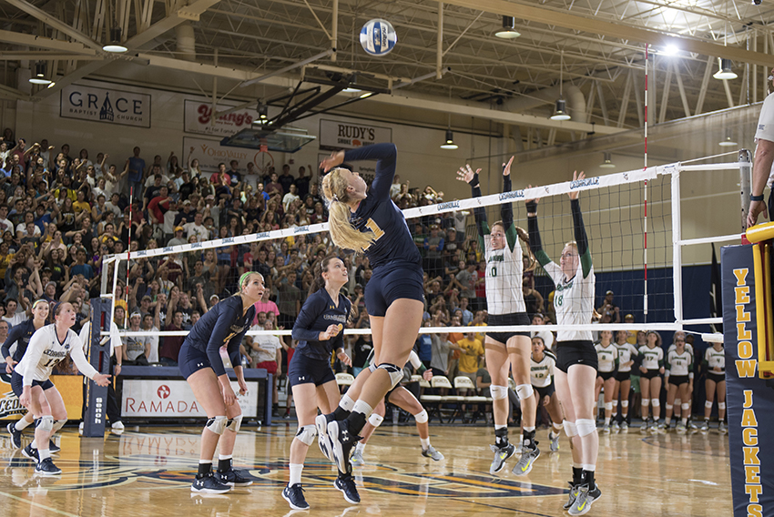 Faith Ferris - Women's Volleyball - Cedarville University Athletics