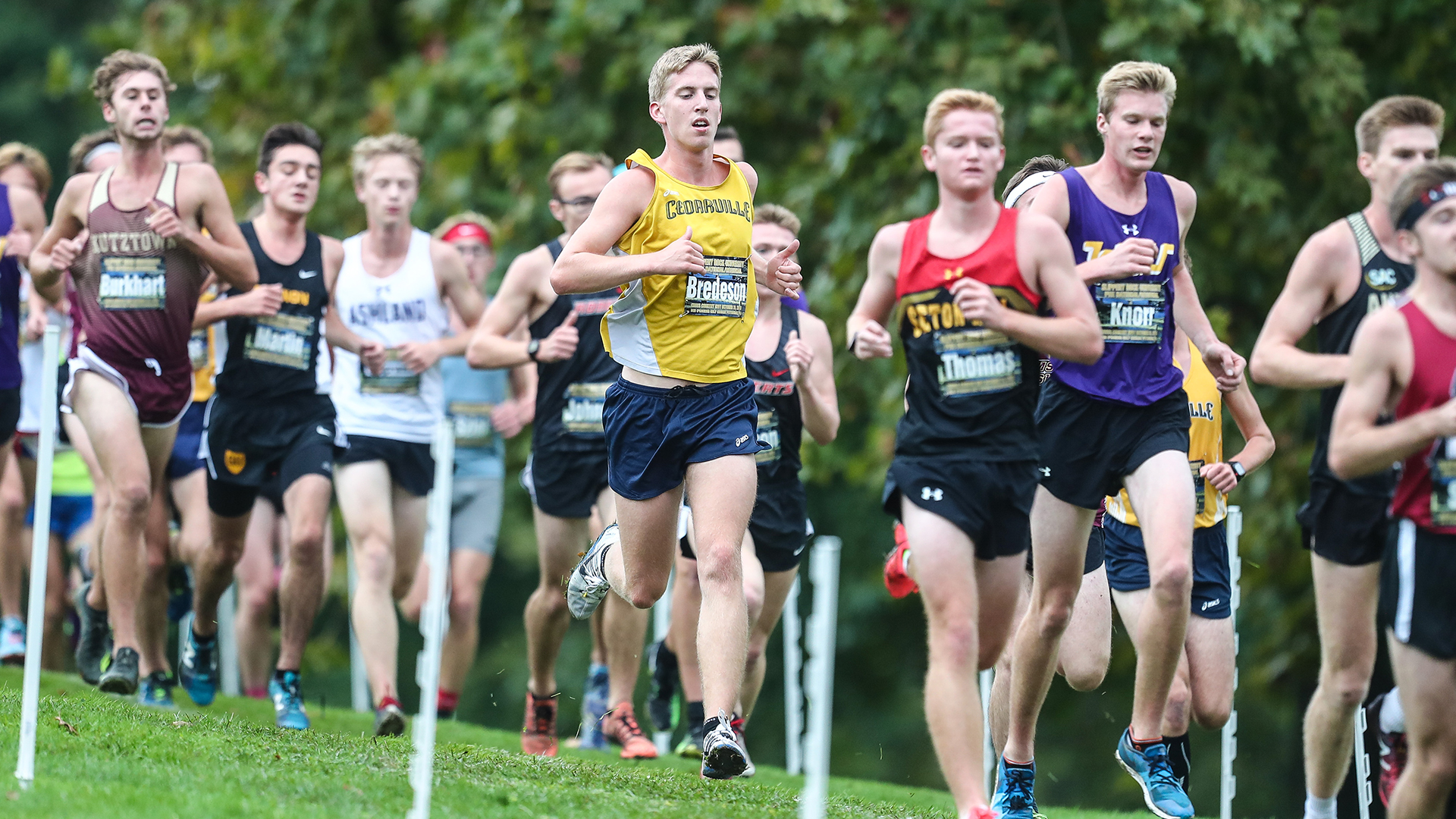 Luke Bredeson - Men's Cross Country - Cedarville University Athletics
