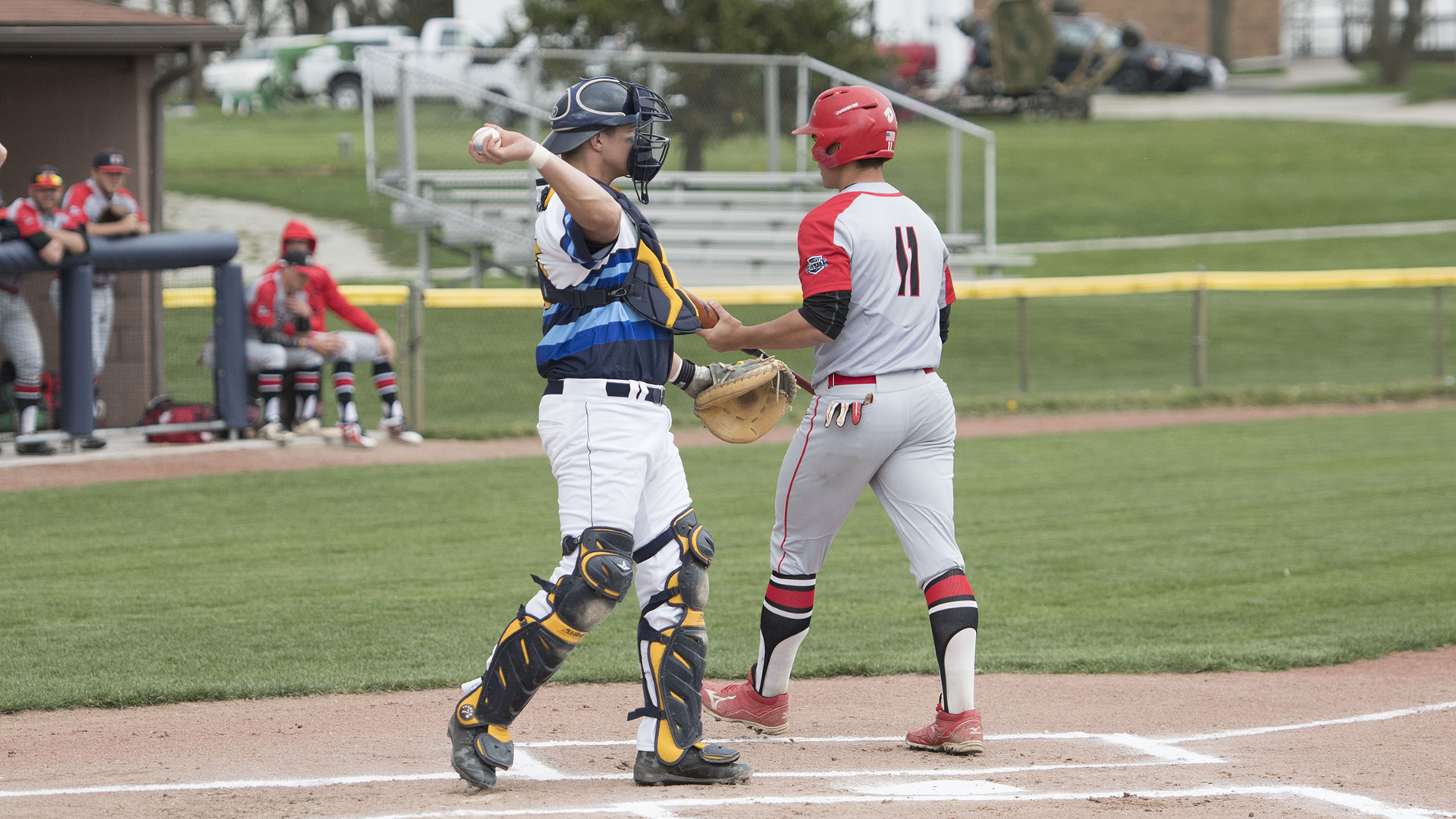 Jesse Bush - Baseball - Cedarville University Athletics