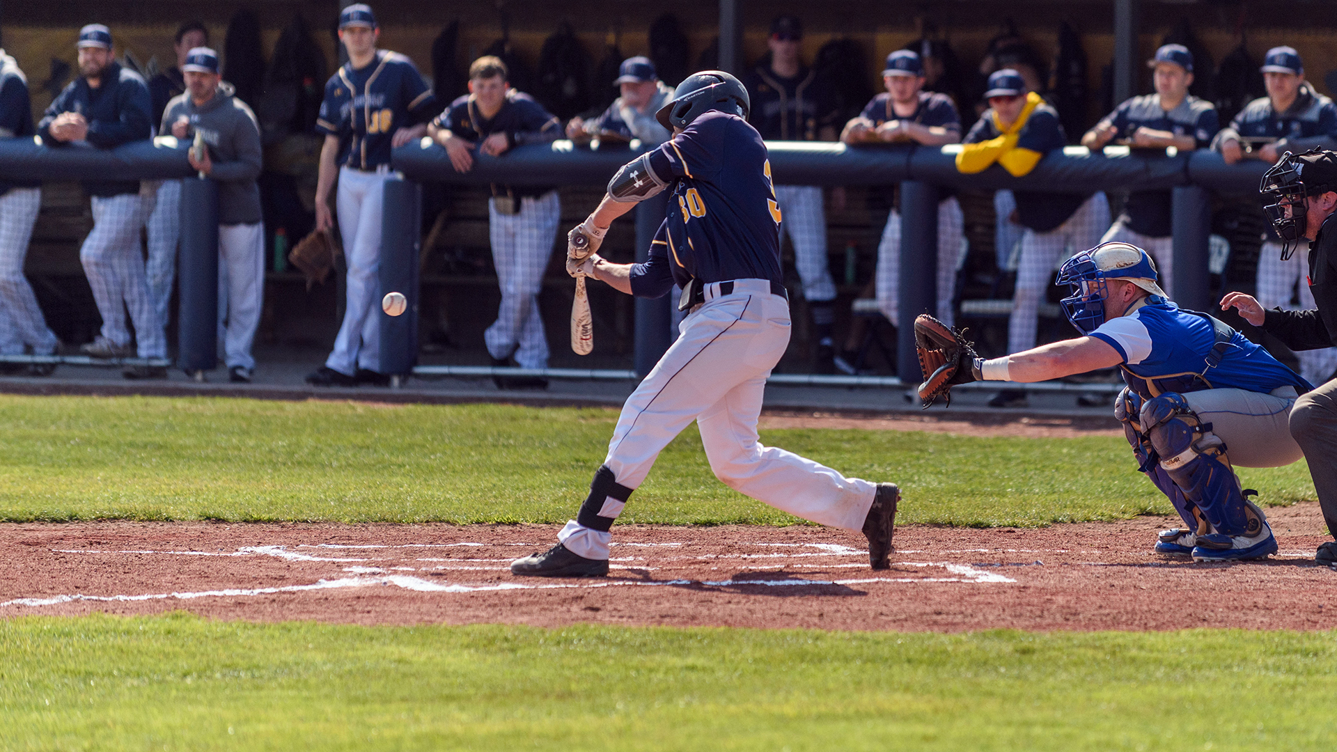 Colton Potter - Baseball - Cedarville University Athletics