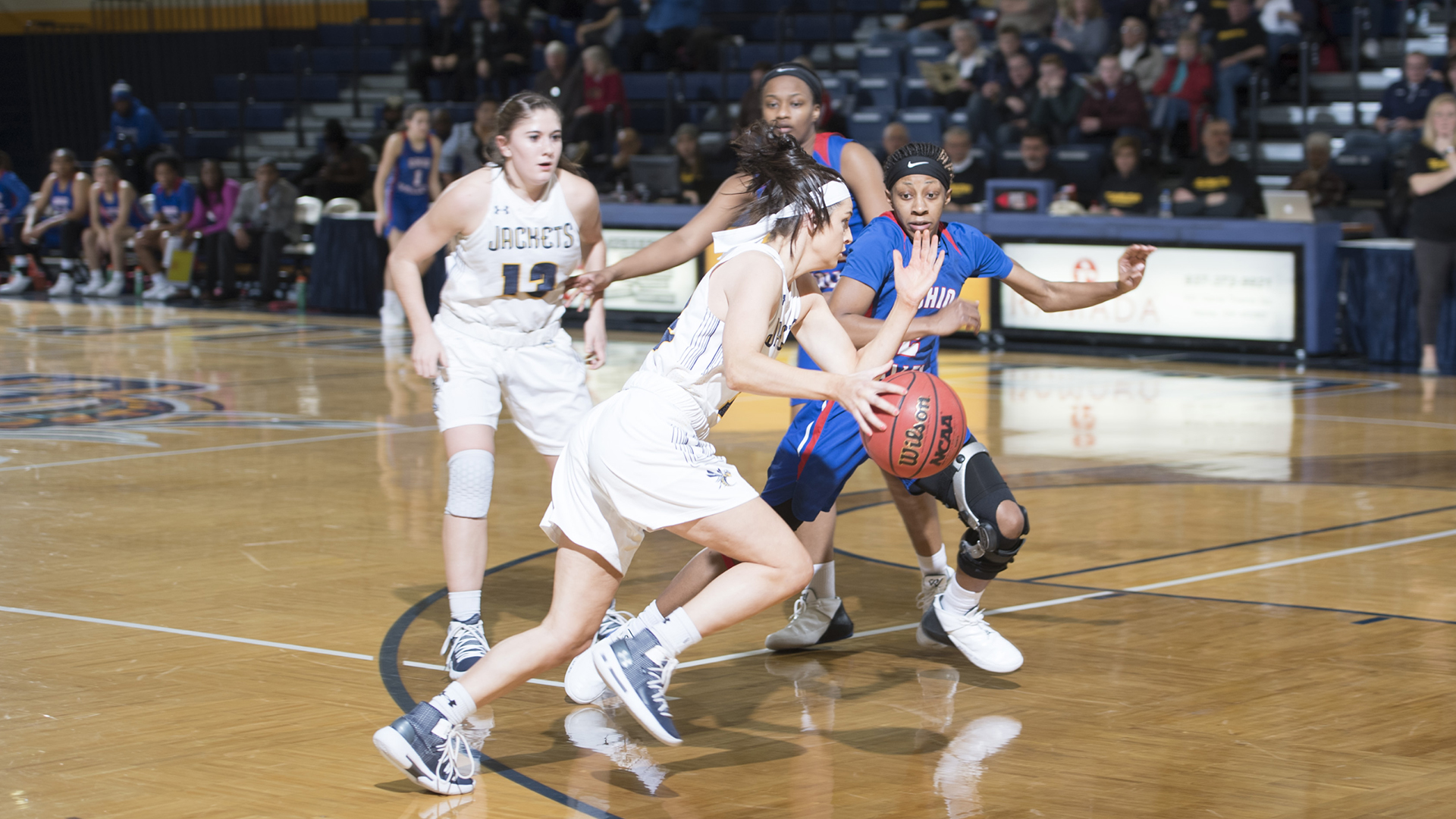Anna DeFilippo - Women's Basketball - Cedarville University Athletics
