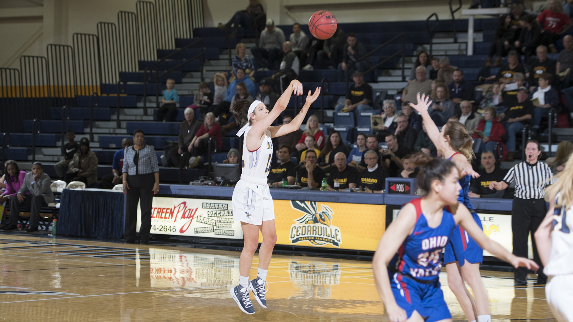 Anna DeFilippo - Women's Basketball - Cedarville University Athletics
