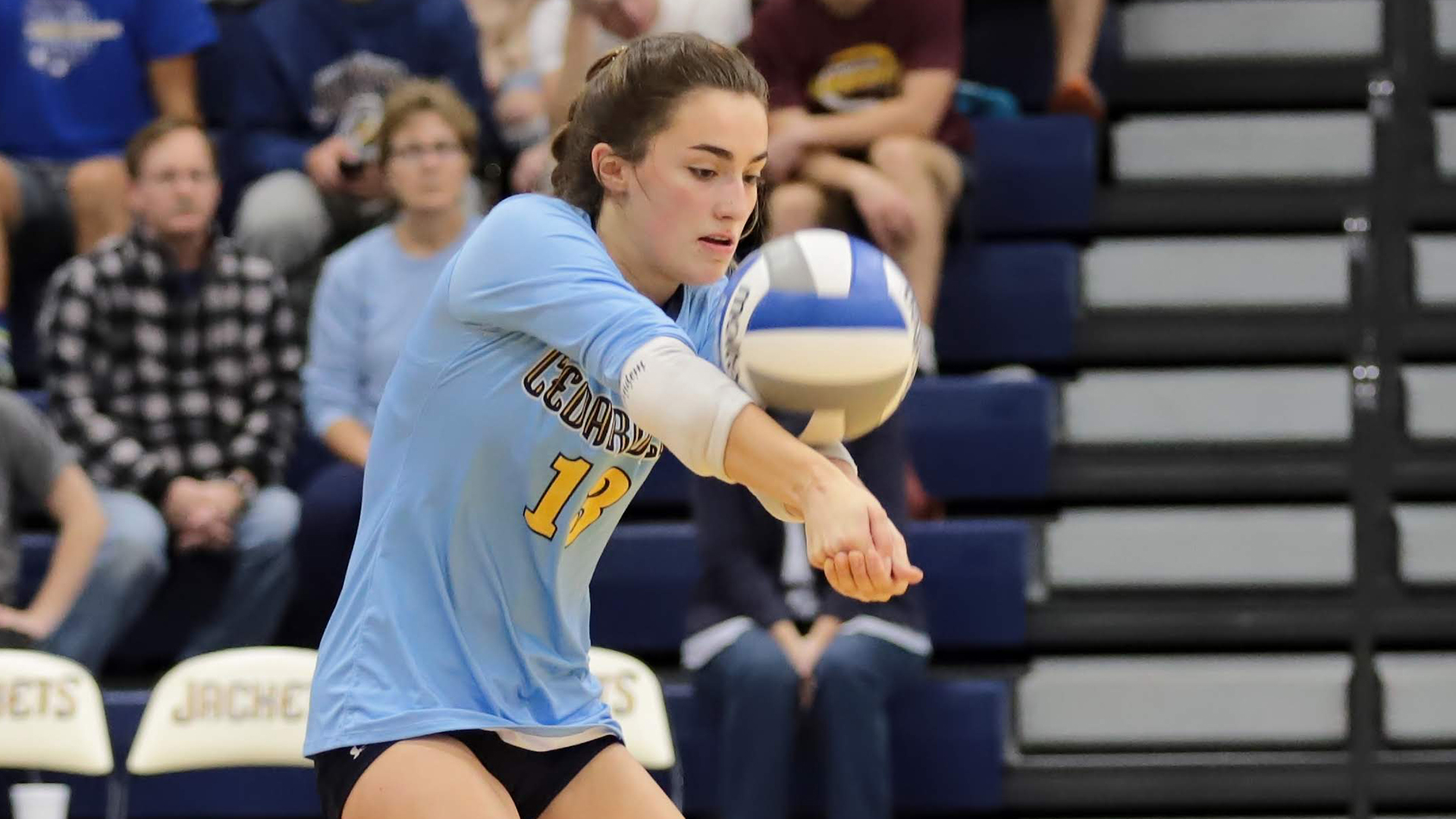 Mallory Delamarter - Women's Volleyball - Cedarville University Athletics