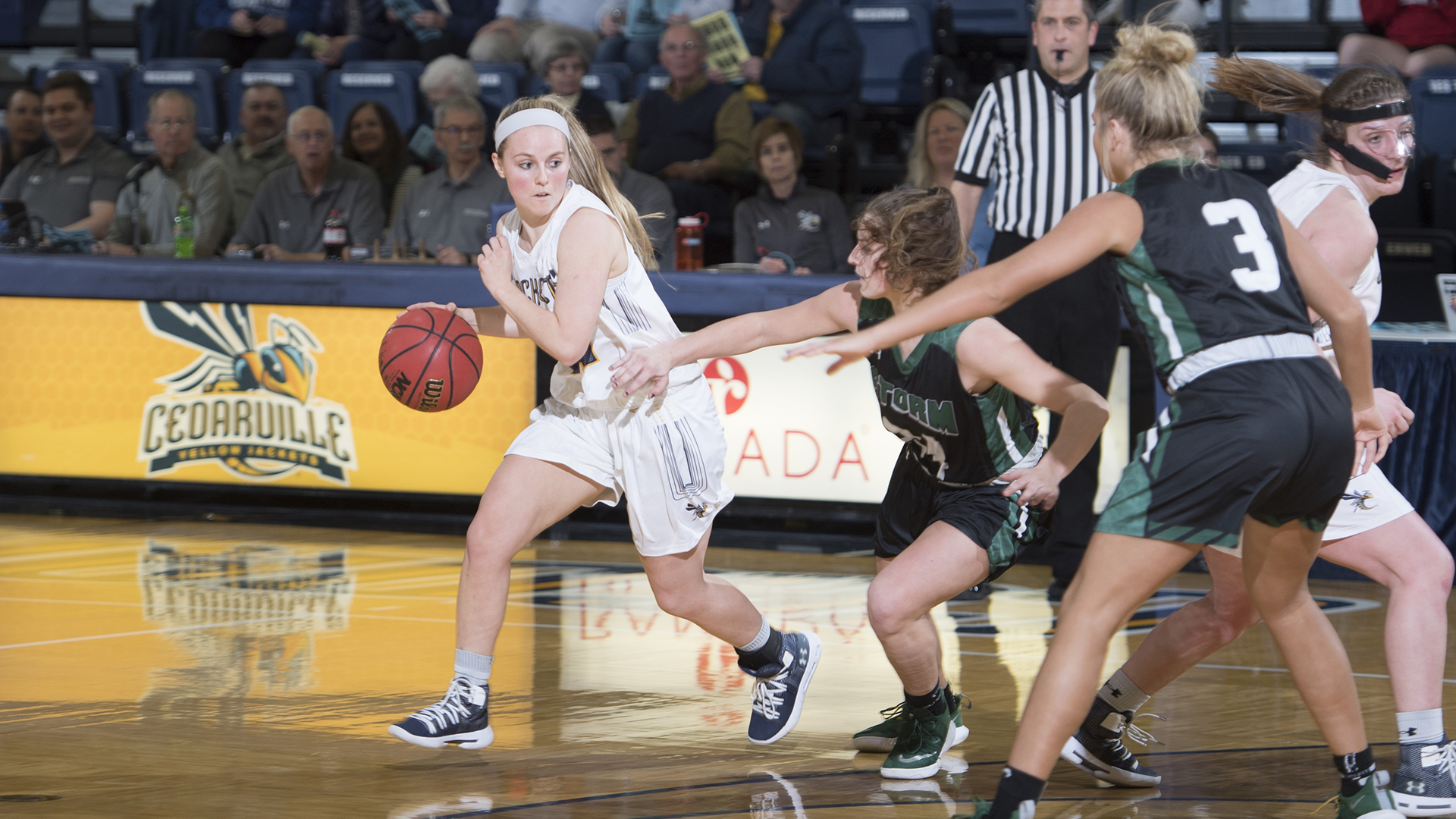 Kelly Poole - Women's Basketball - Cedarville University Athletics