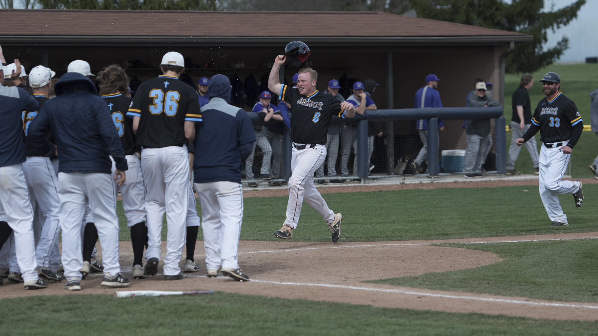 Matthew Biermann - Baseball - Cedarville University Athletics