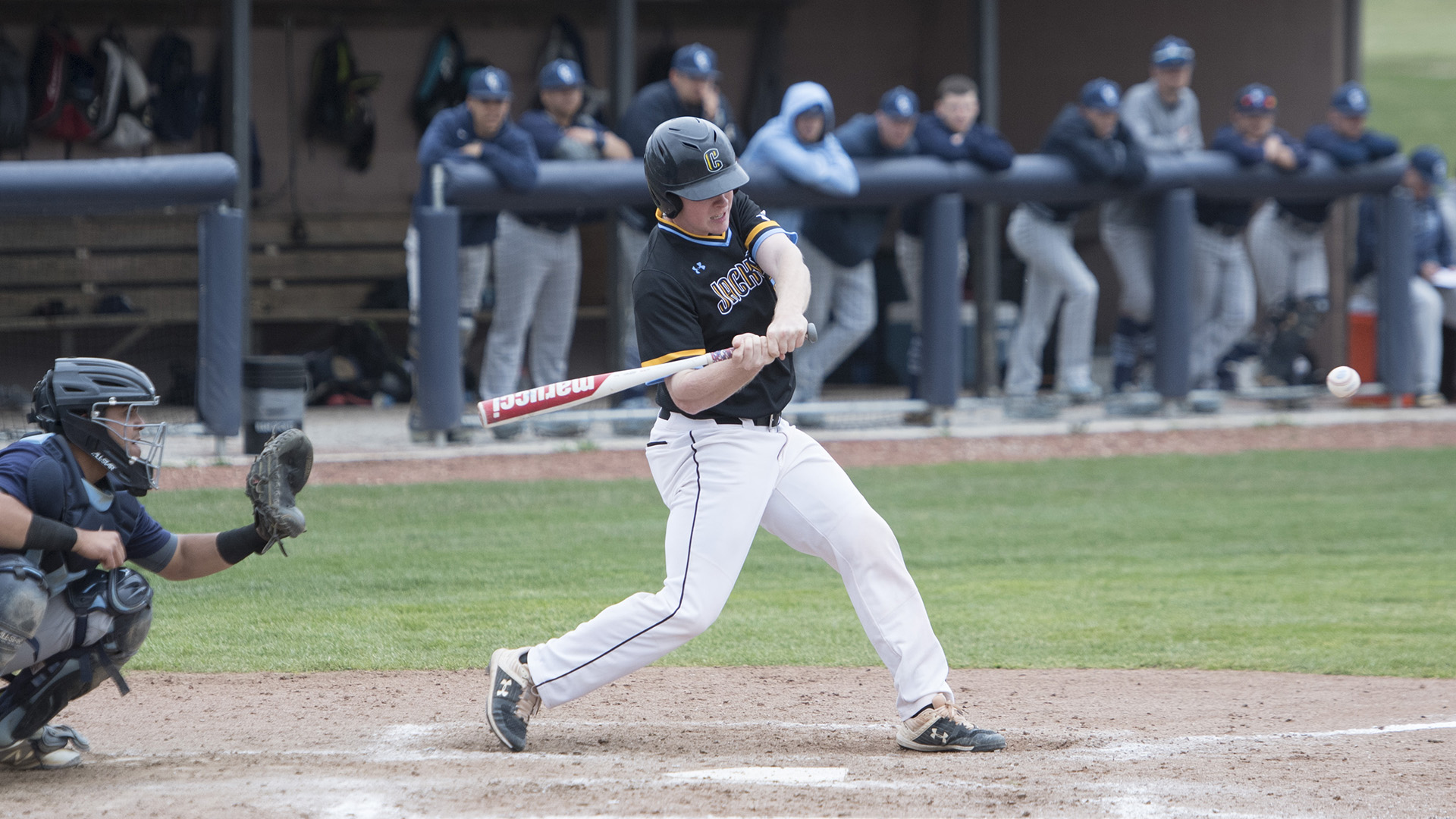 Matthew Biermann - Baseball - Cedarville University Athletics