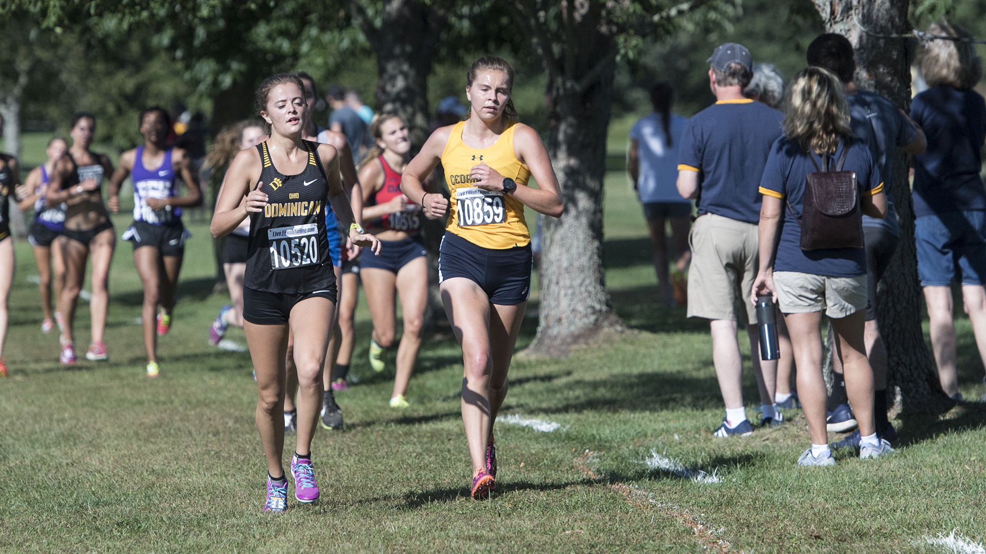 Gabrielle Wheeler - Women's Cross Country - Cedarville University Athletics