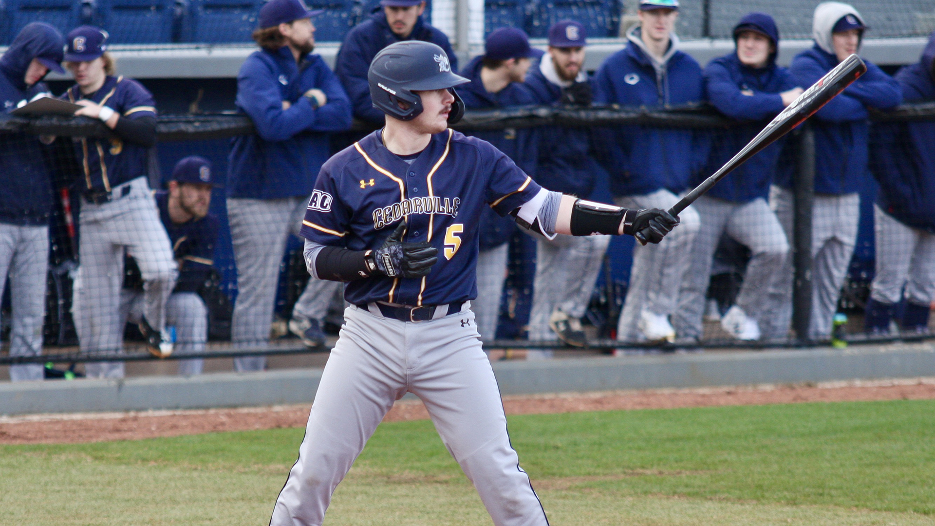 Brendan Toungate - Baseball - Cedarville University Athletics