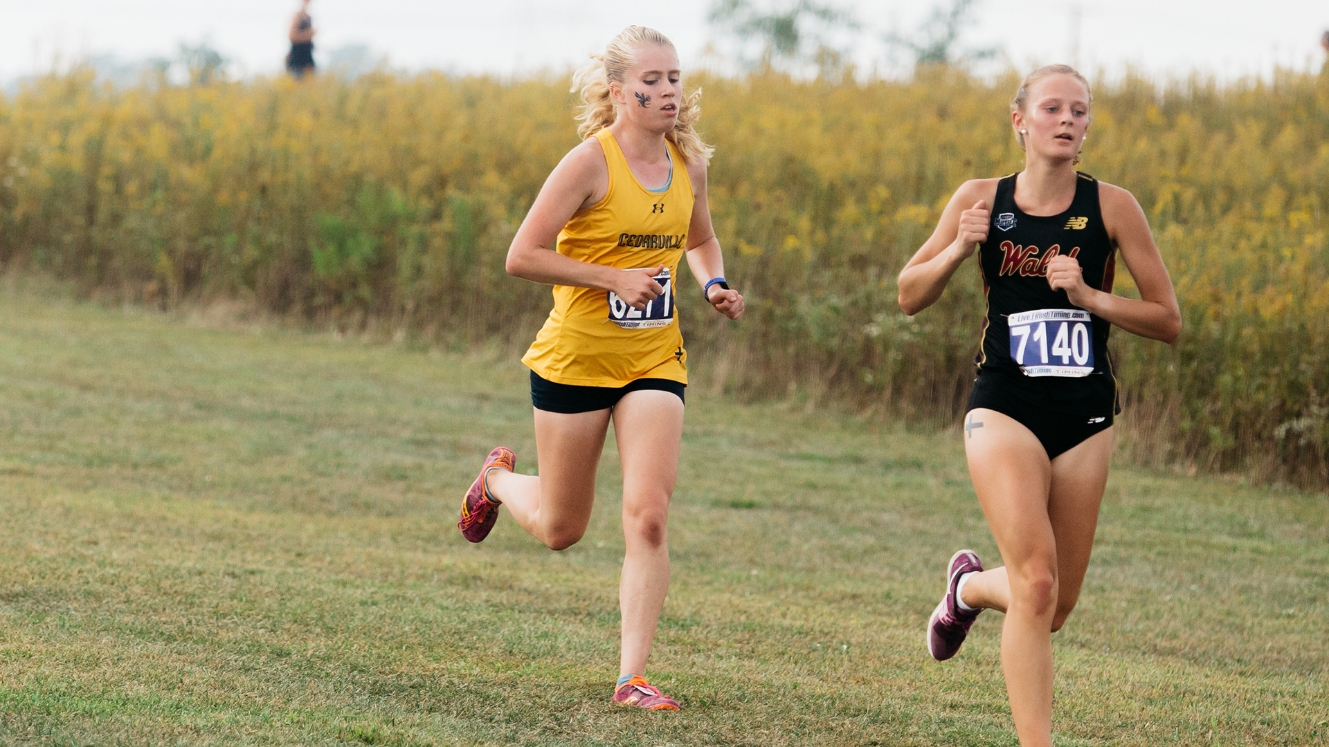 Anna Steich - Women's Cross Country - Cedarville University Athletics