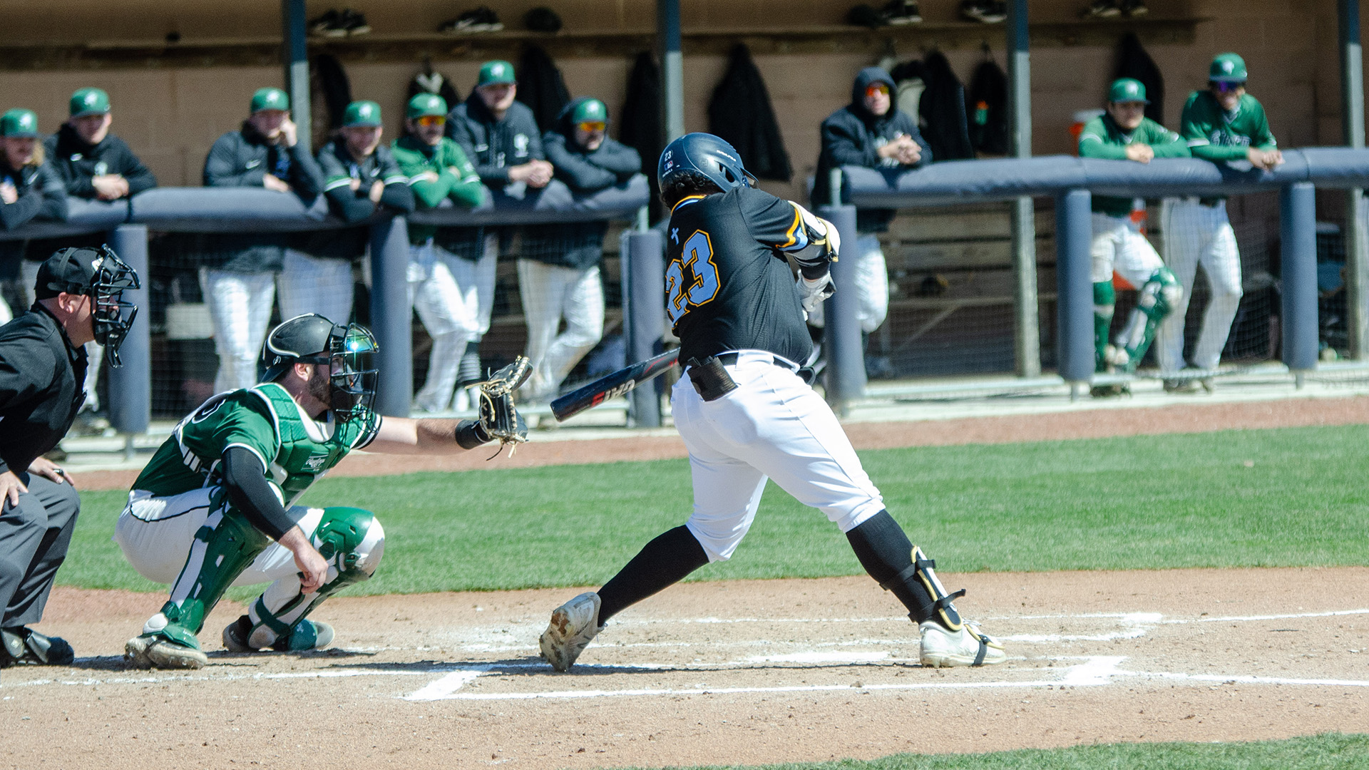 Adrian Navarro-Melendez - Baseball - Cedarville University Athletics