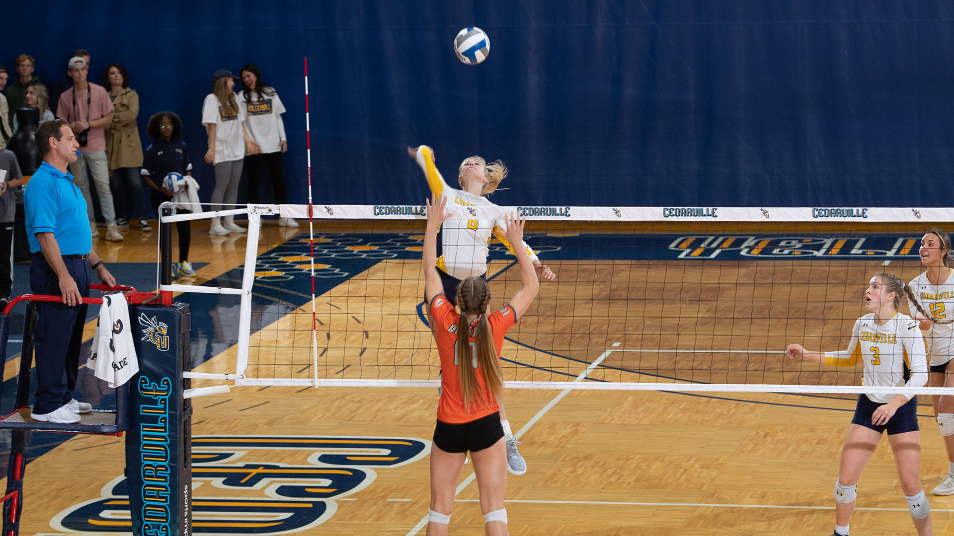 Riley Hensley - Women's Volleyball - Cedarville University Athletics