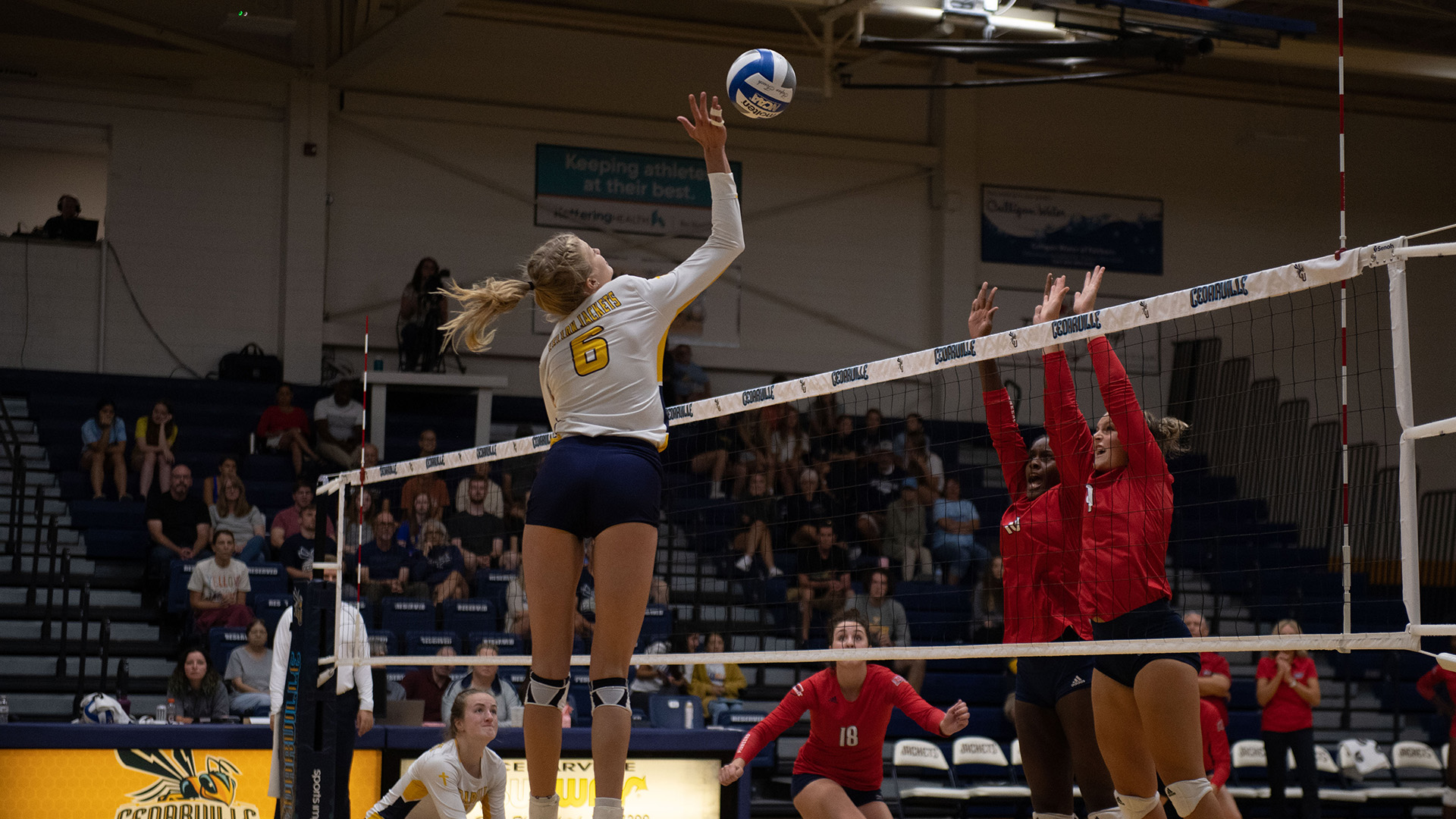Riley Hensley - Women's Volleyball - Cedarville University Athletics