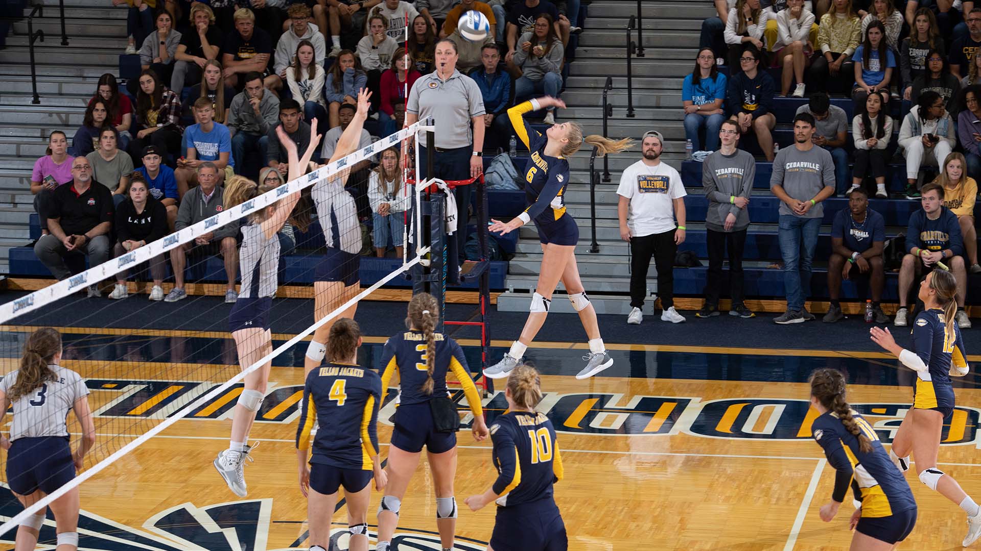 Riley Hensley - Women's Volleyball - Cedarville University Athletics