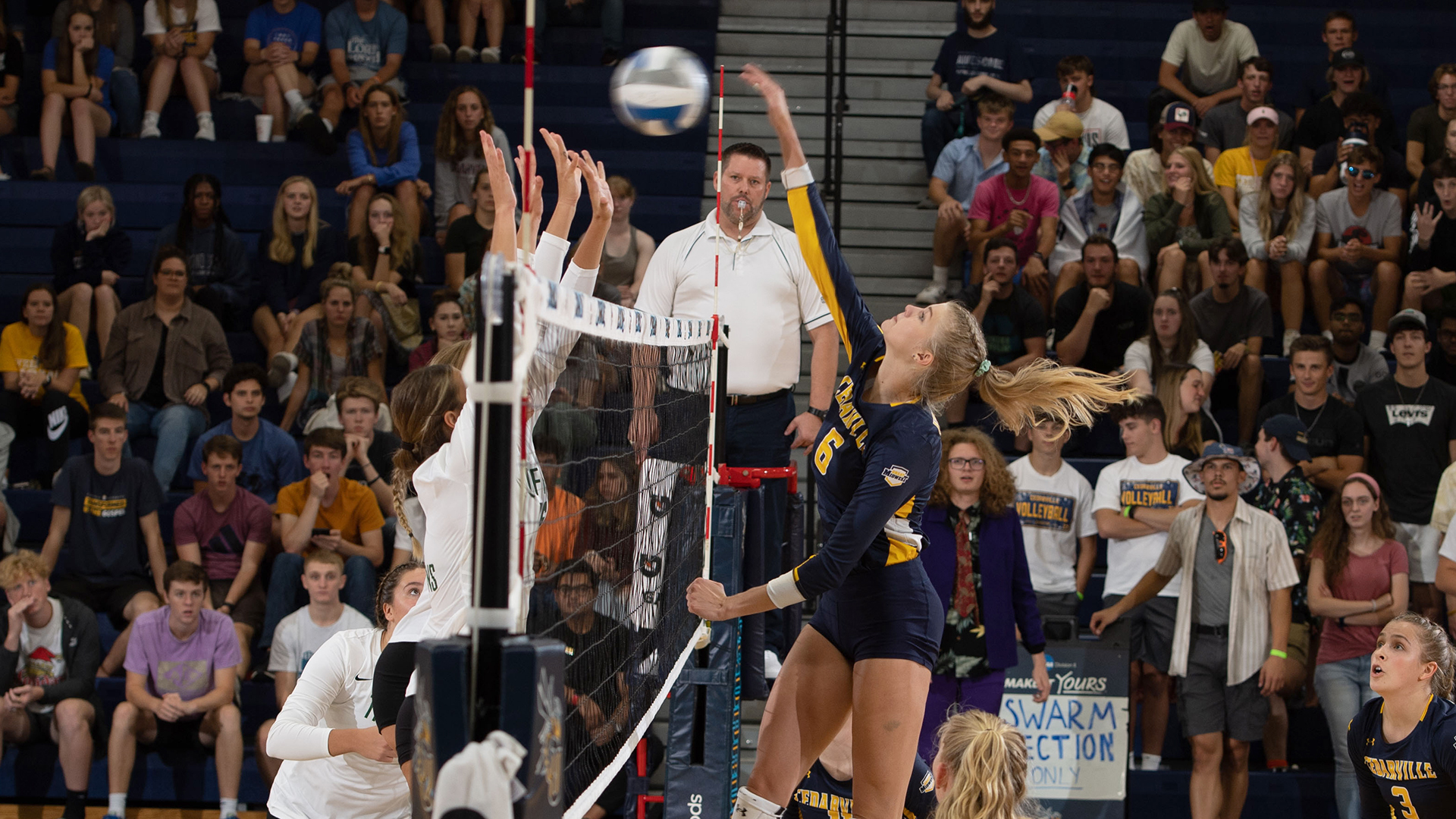 Riley Hensley - Women's Volleyball - Cedarville University Athletics