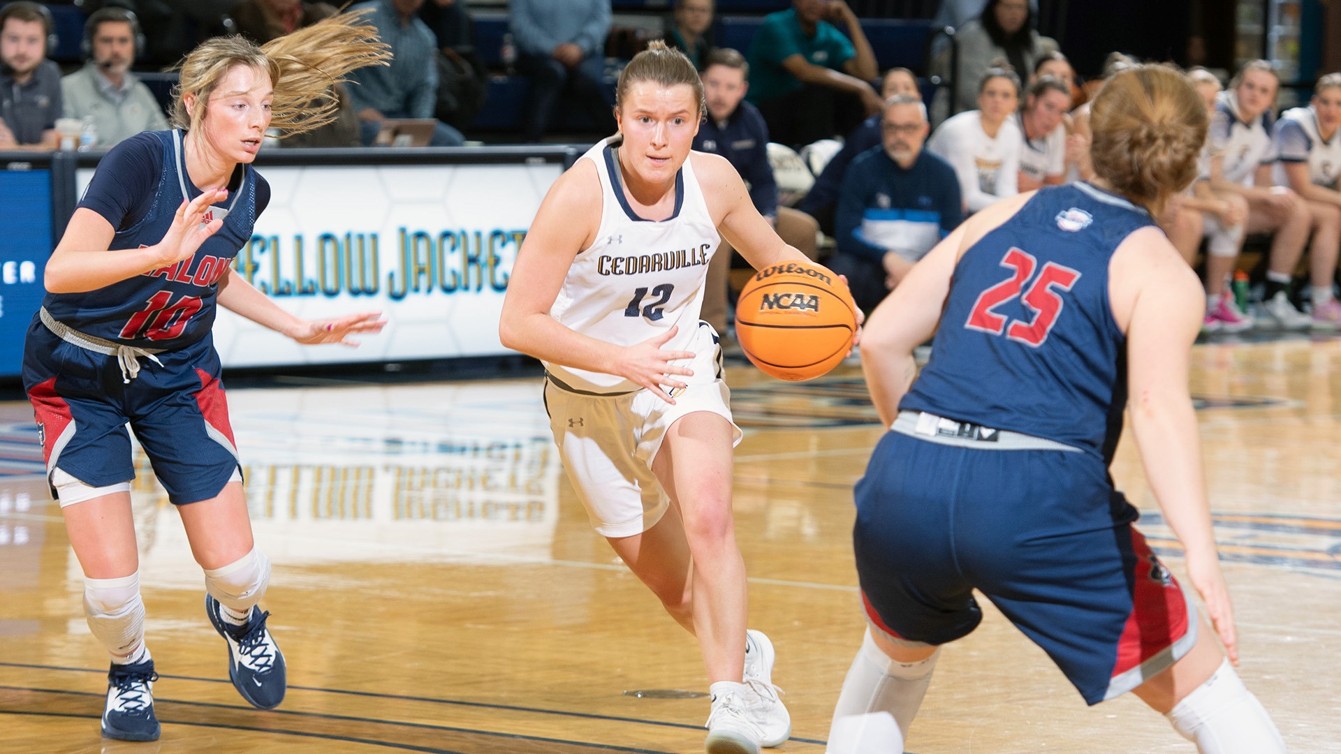 Abby Freeman - Women's Basketball - Cedarville University Athletics