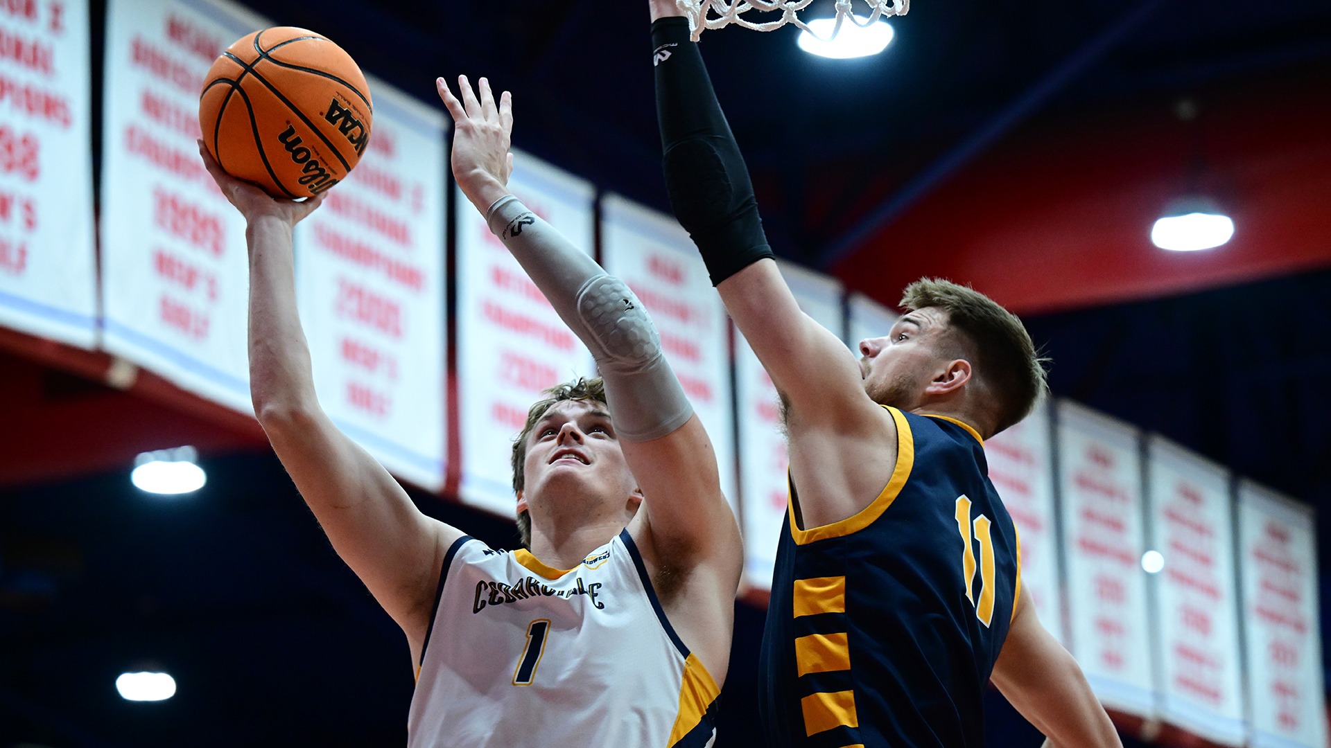 Jacob Drees - Men's Basketball - Cedarville University Athletics