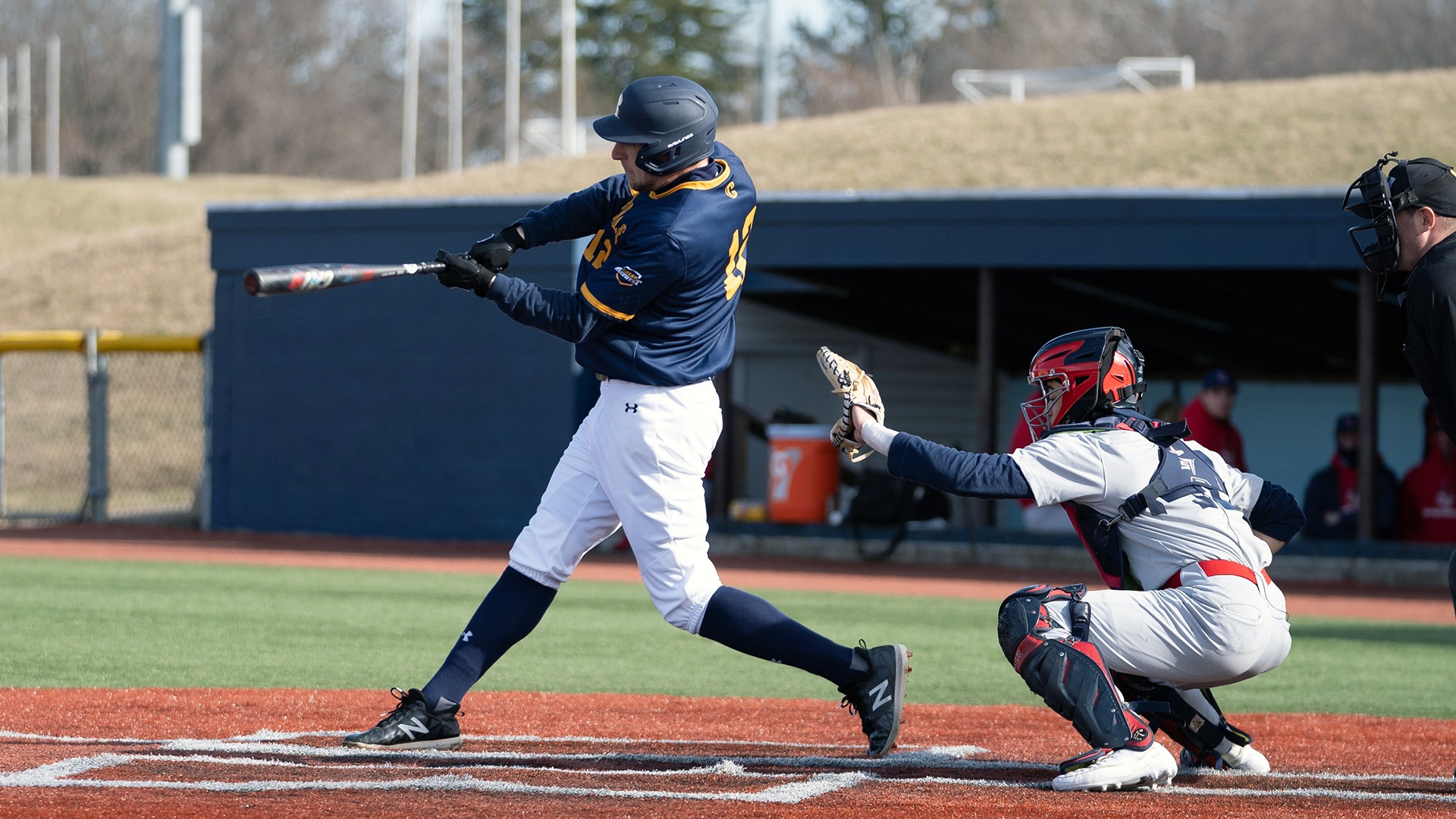 Seth Hale - Baseball - Cedarville University Athletics